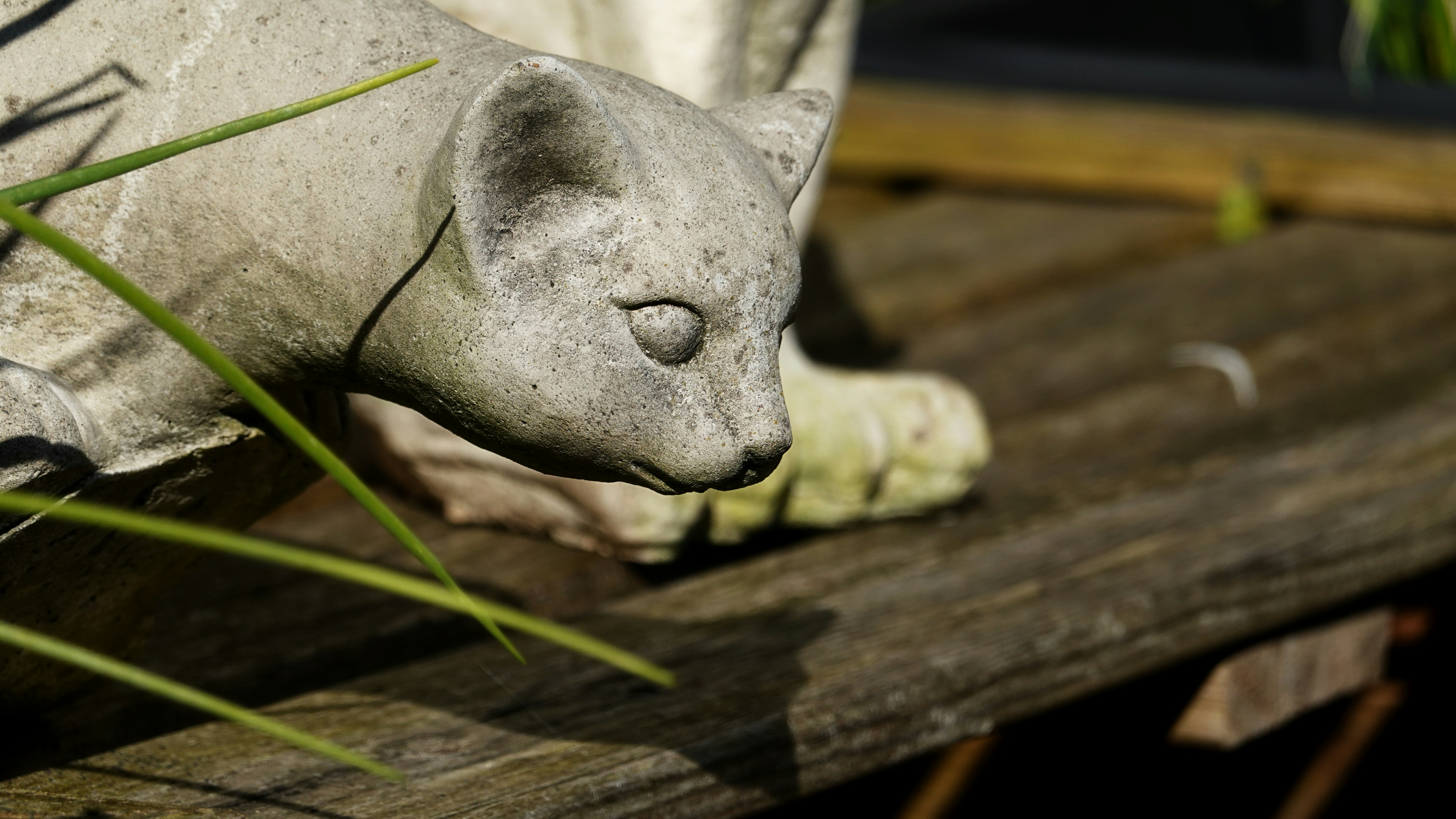 Stone Lamb on a Weathered Bench