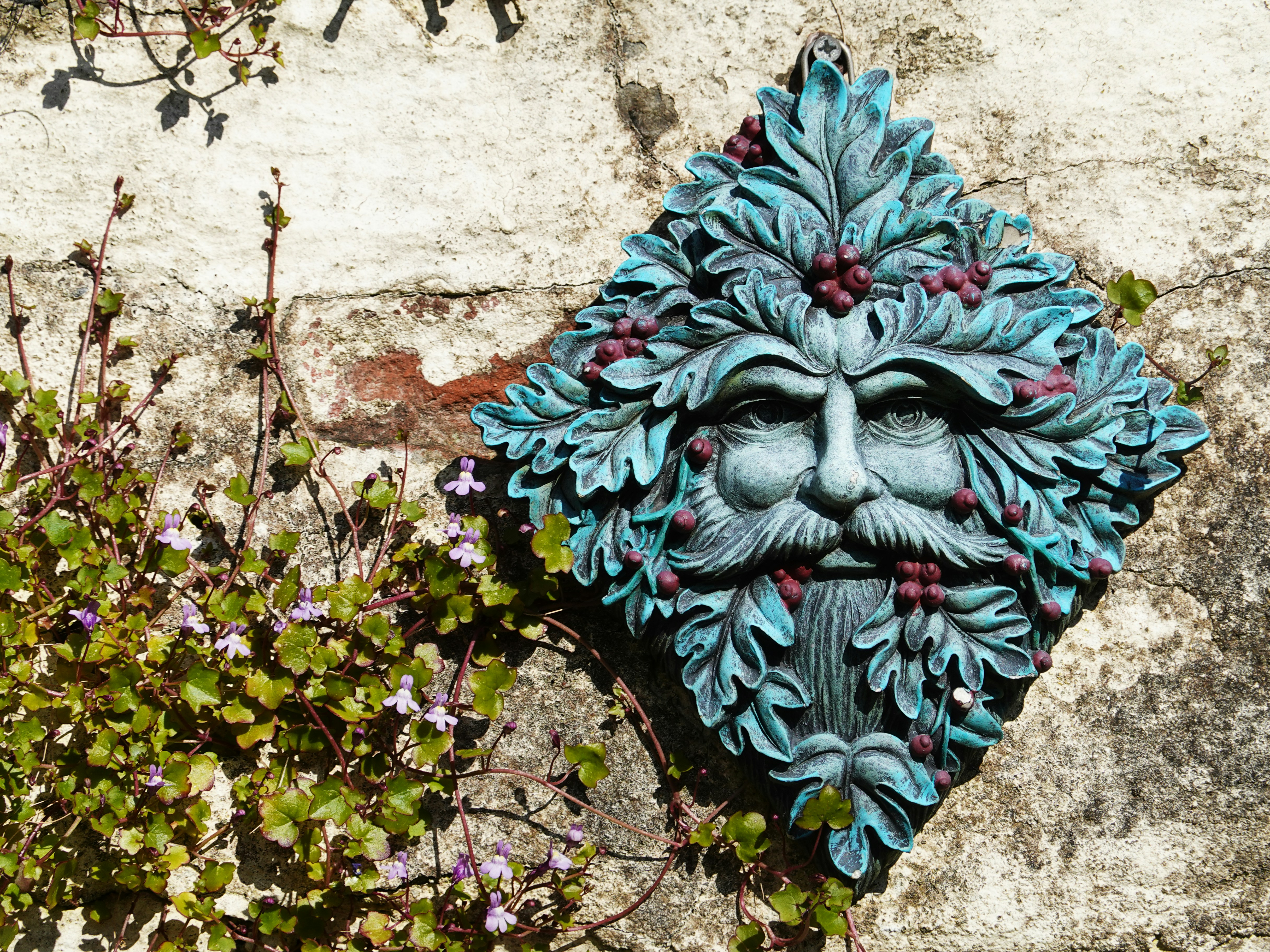 Leaf-Masked Face: A Stone Carving Quietly Reclaims a Wall