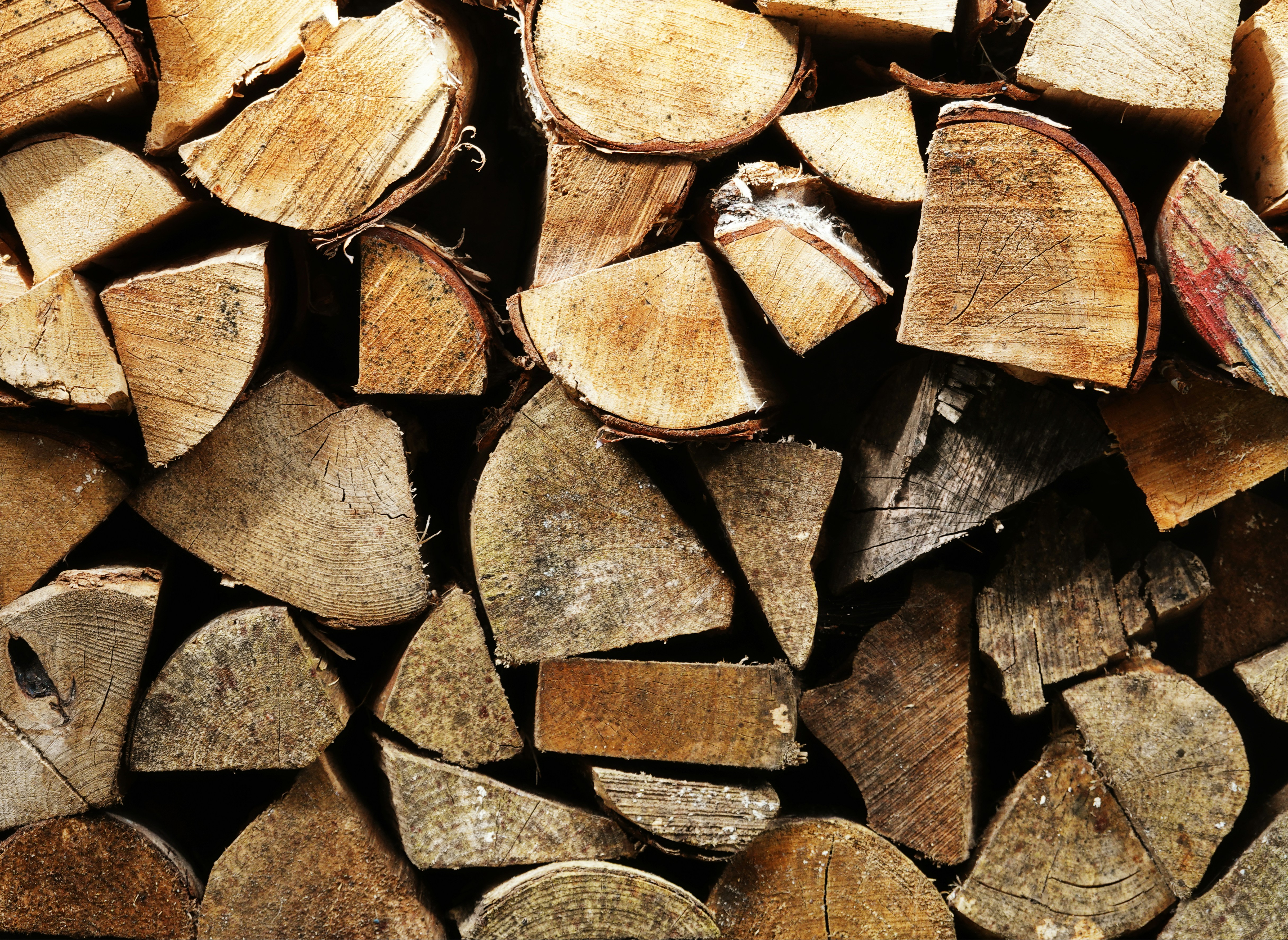Stacked Orchard of Logs: Close-Compressed Wood Texture
