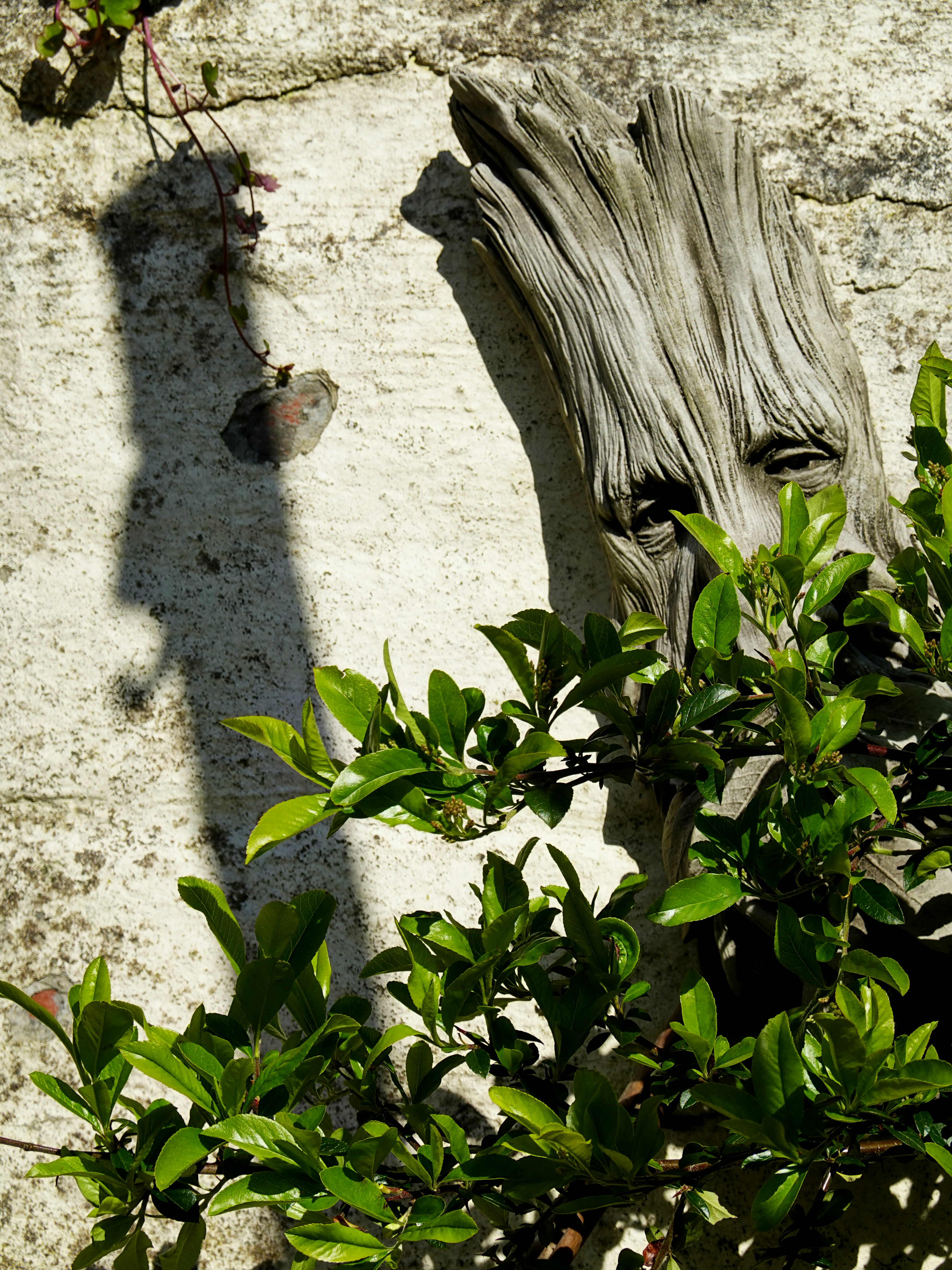 Shadowed Gnarled Face Behind Green Veil