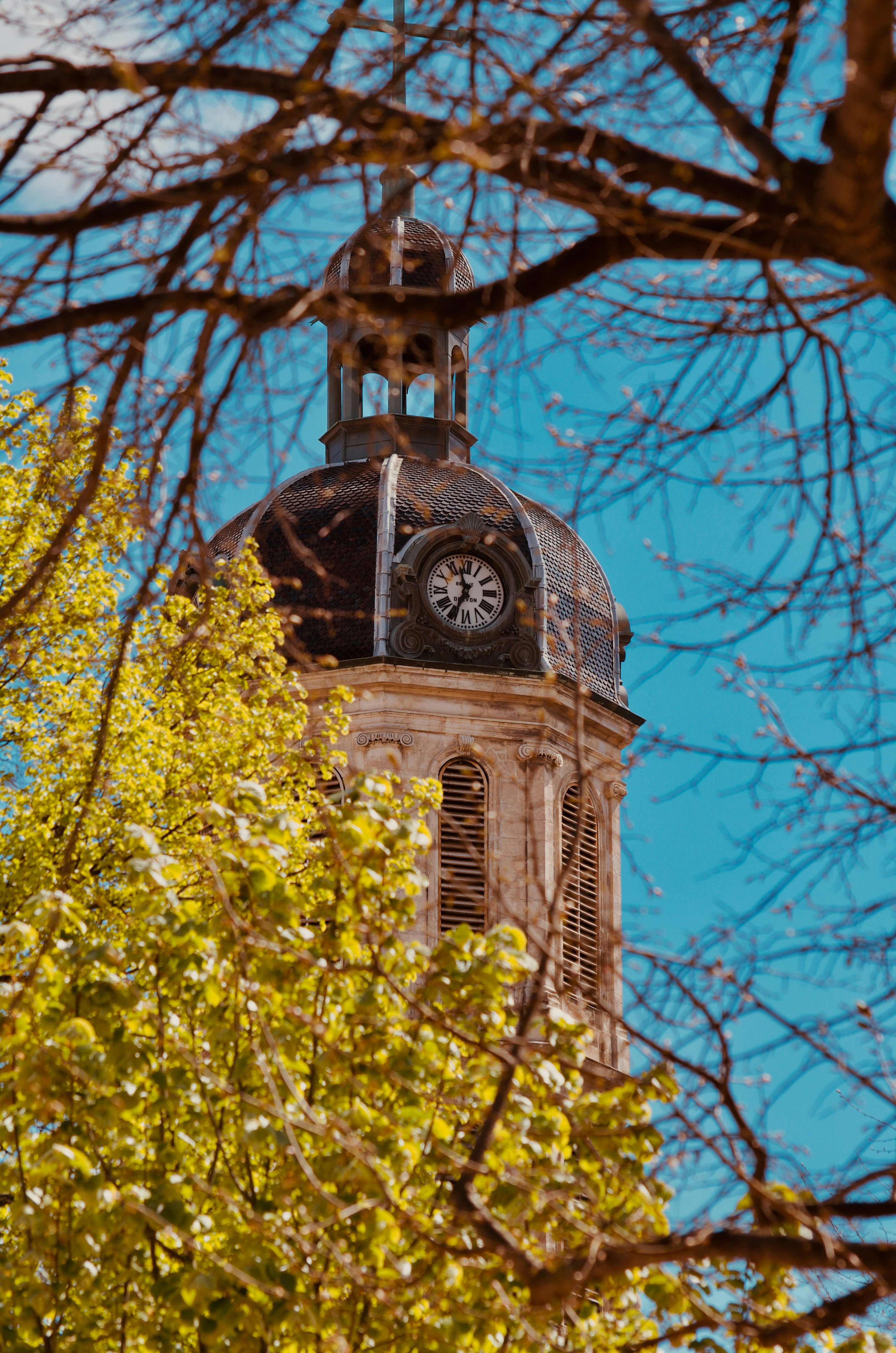 Clocktower in Spring light framed by budding branches