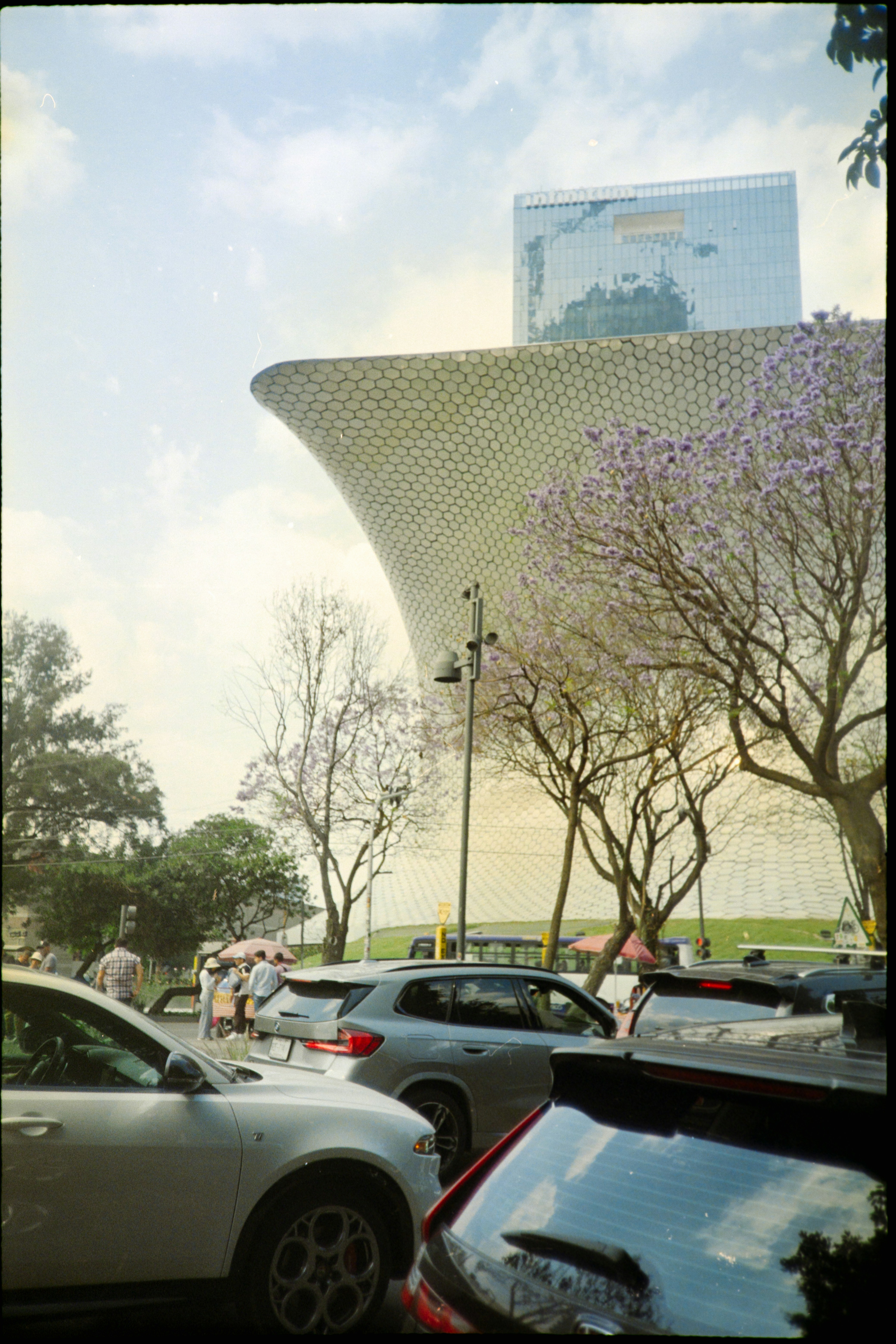 Urban Hive: Glass Dome and Blossoms Over a Parked Lunch Crowd