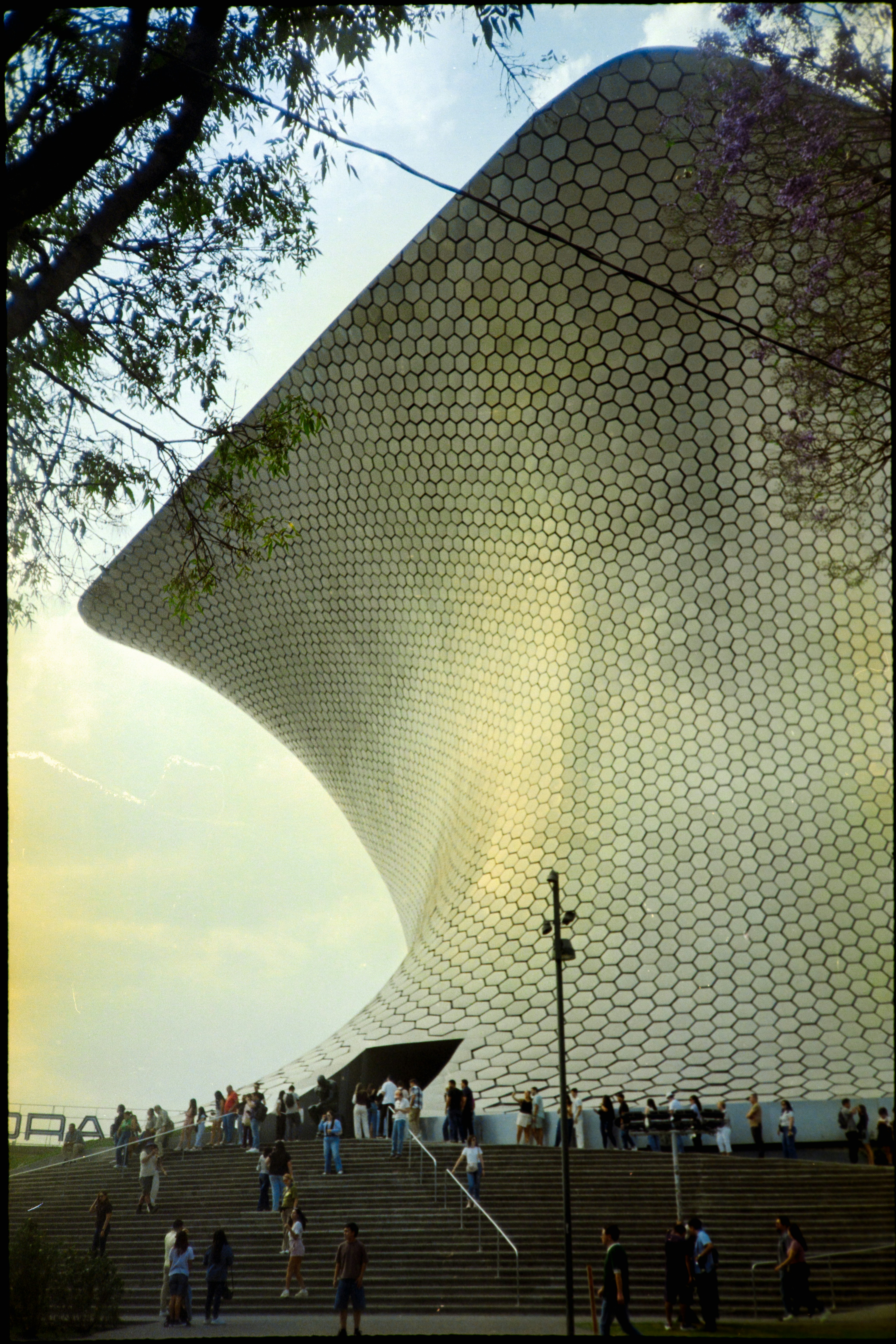 The Hexagonal Wave: A Grand Facade and Its Stairwell of People