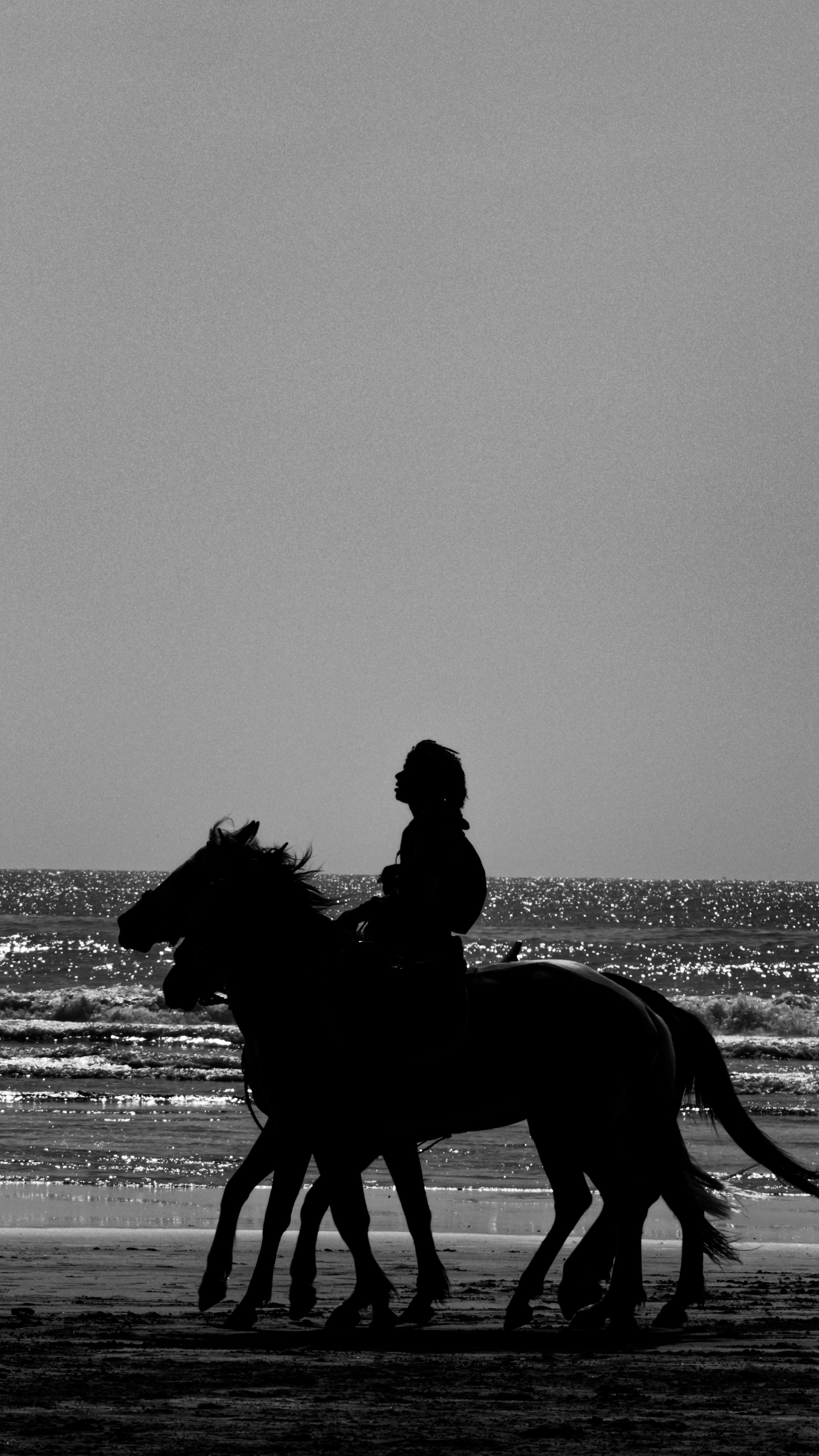 Silhouette Ride: Rider and Horse Against a Glittering Sea