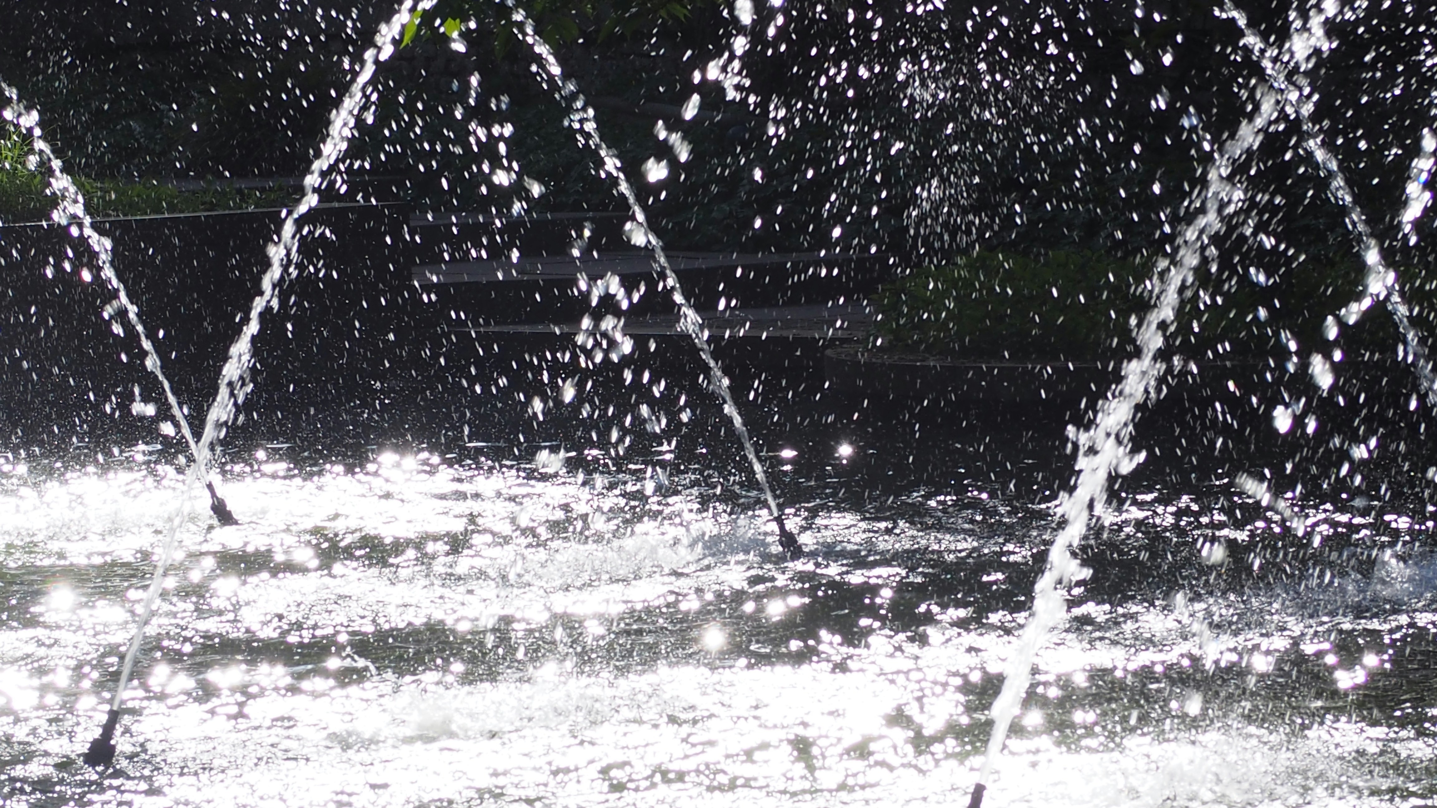 Liquid Arcs: A Splashing Fountain Freeze