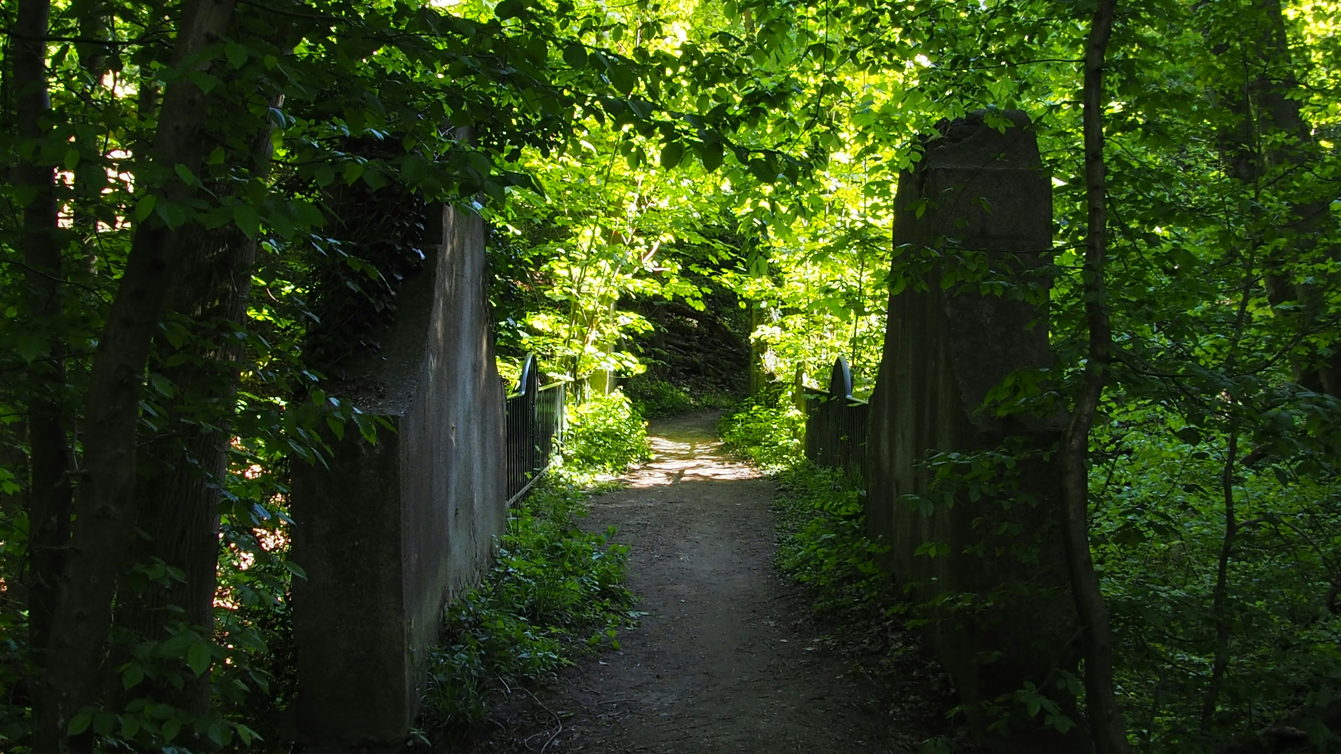 Quiet Pathway Through Diorama of Greenery and Stone