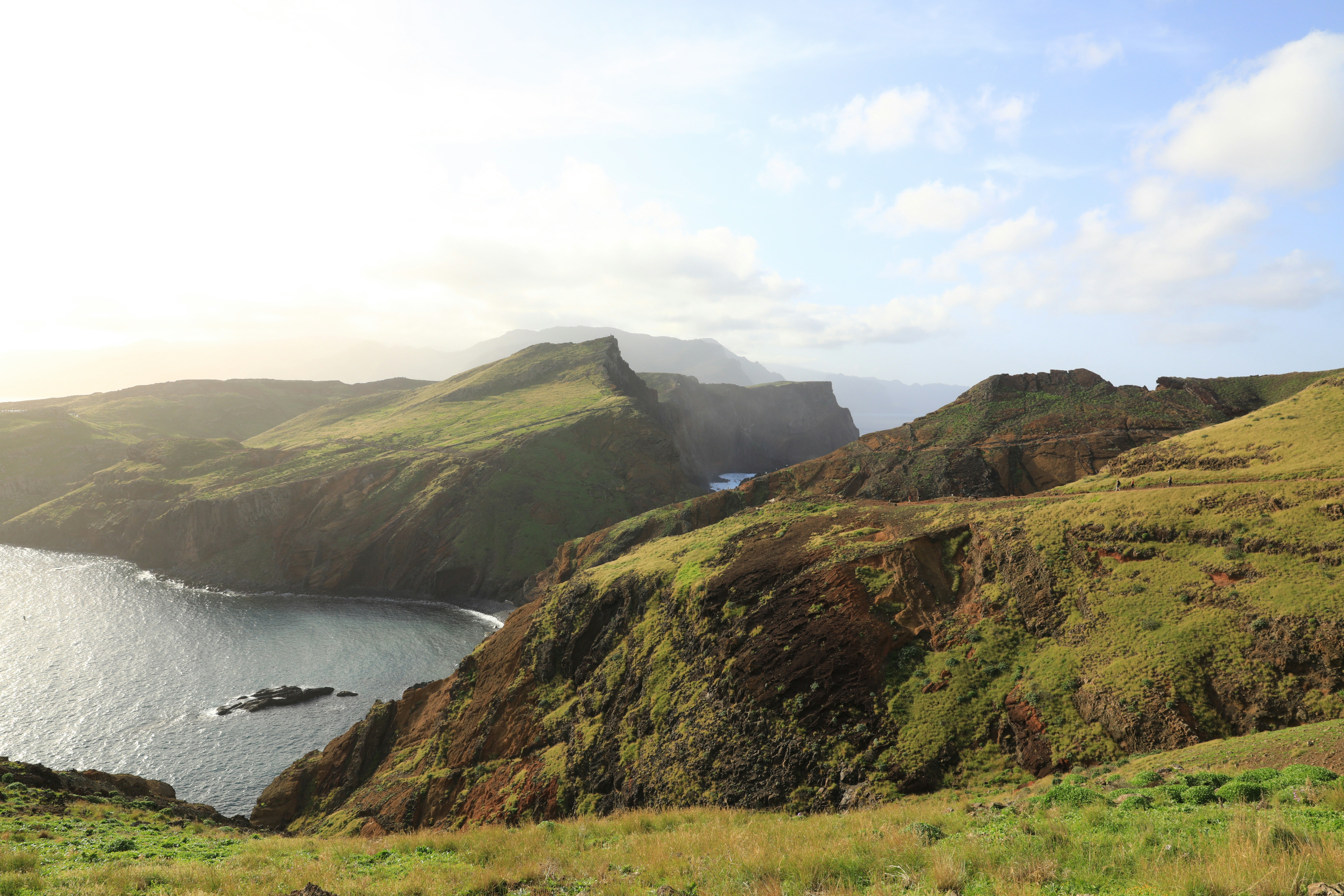 Cliffside Dawn Over a Curving Coast