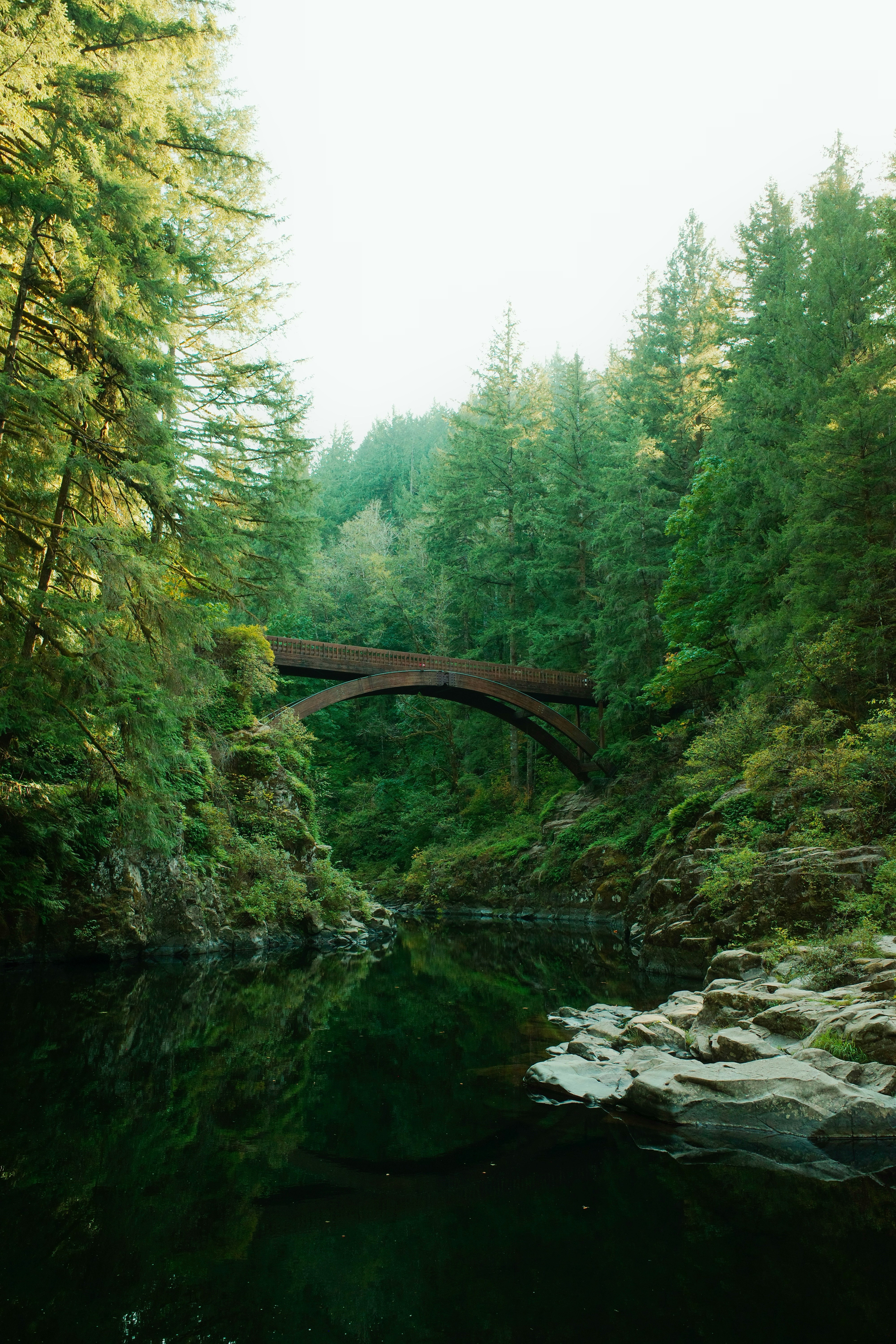 Emerald Gorge Bridge: Reflections Over a Quiet River