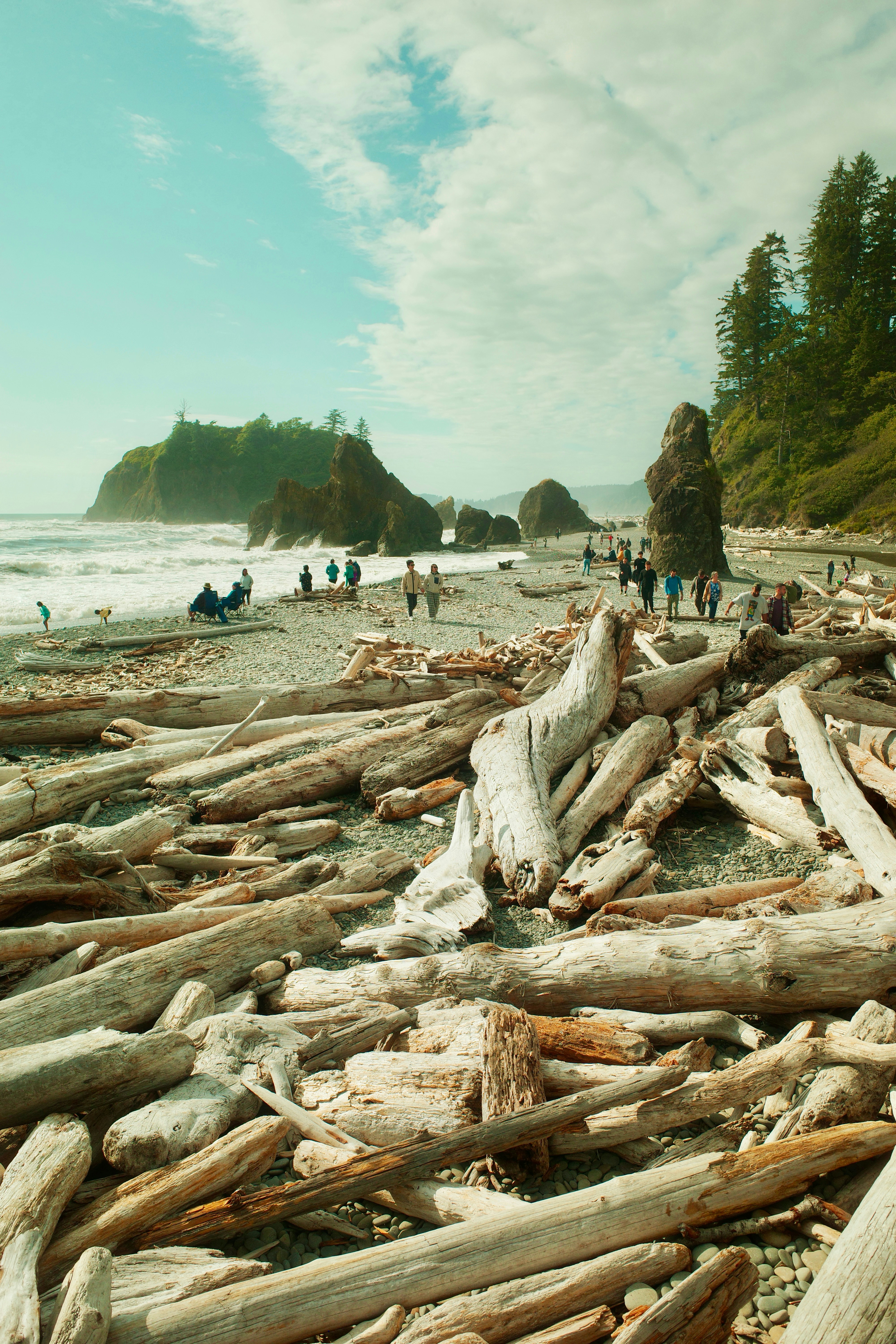 Driftwood Cascade: A Pebble Beach Under a Sky of Turquoise