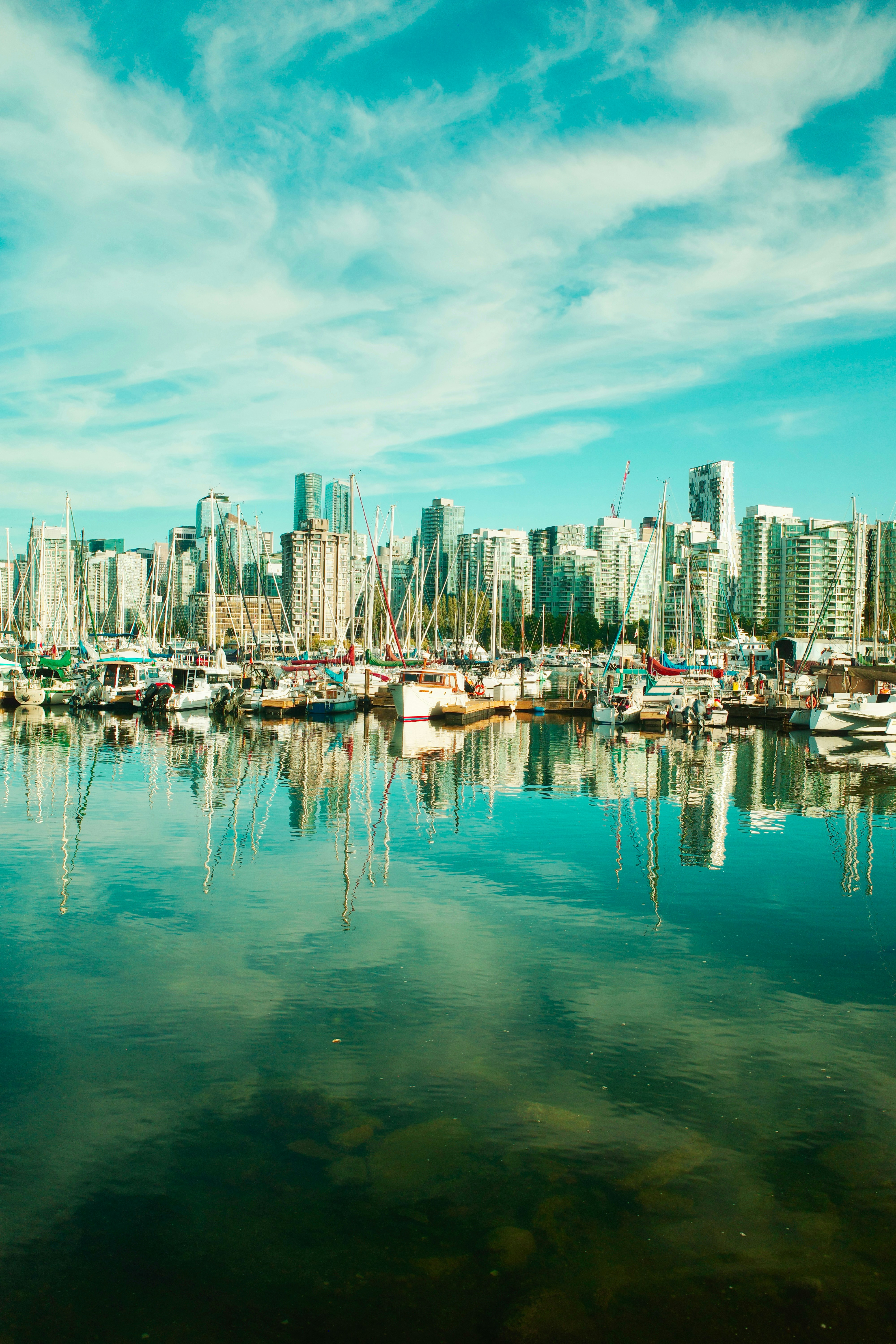Harbor Reflections: City Skyline Behind a Calm Marina