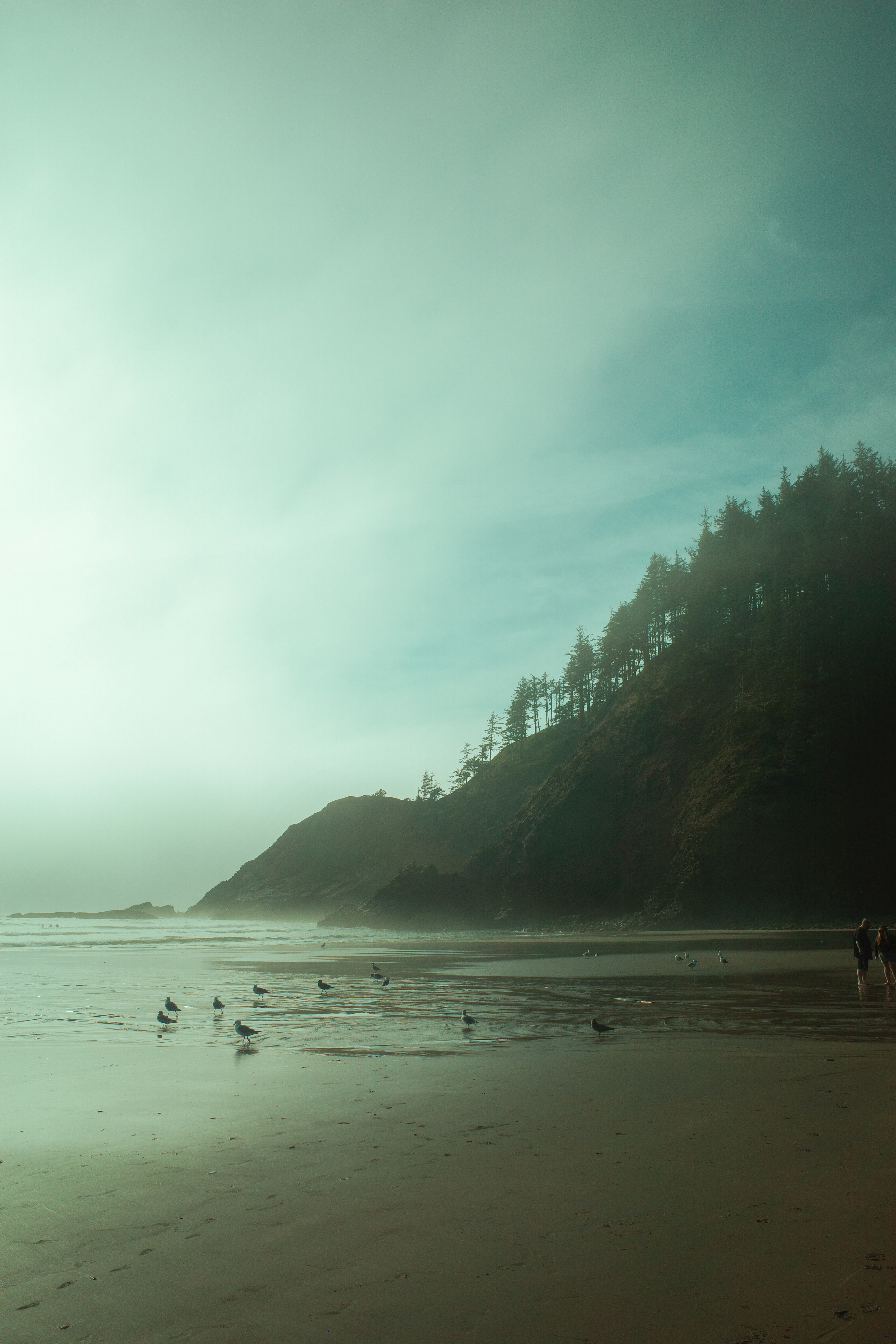 Mist-Laced Shoreline Gaze Toward the Cliff
