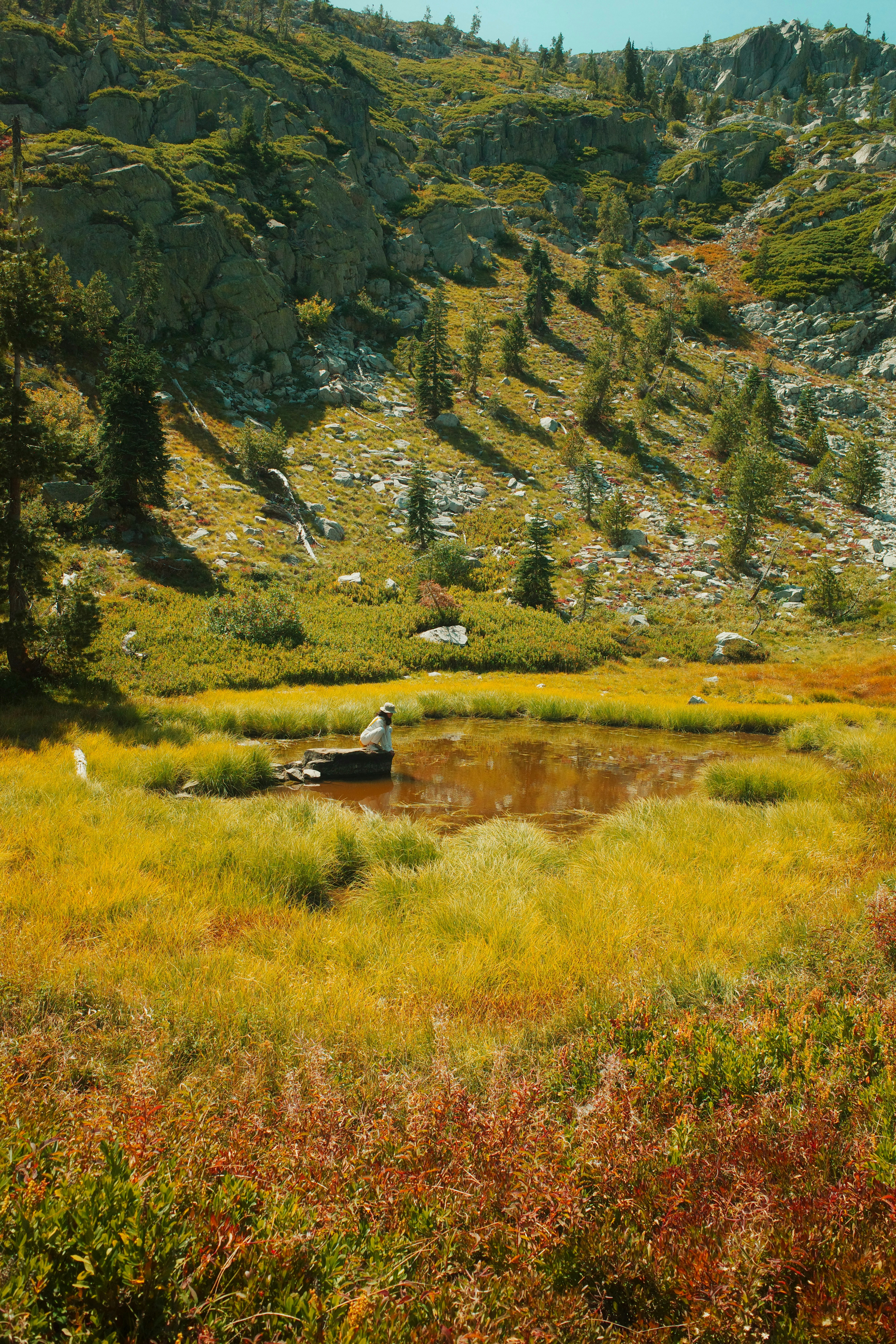 Man fishing in a small pond surrounded by grass