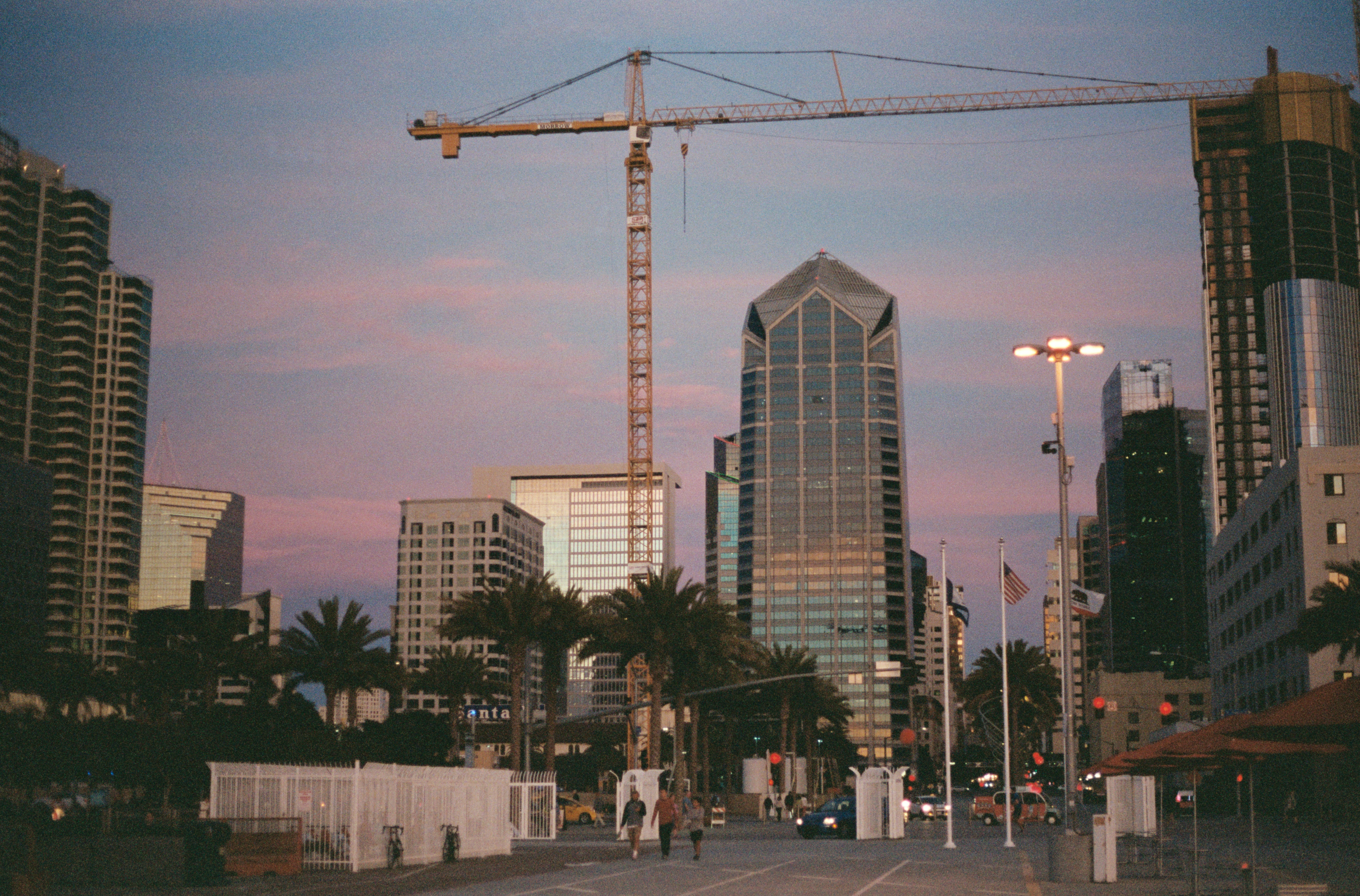 City Crane Dawn: Palm-lined Avenue to the Skyscraper Ridge