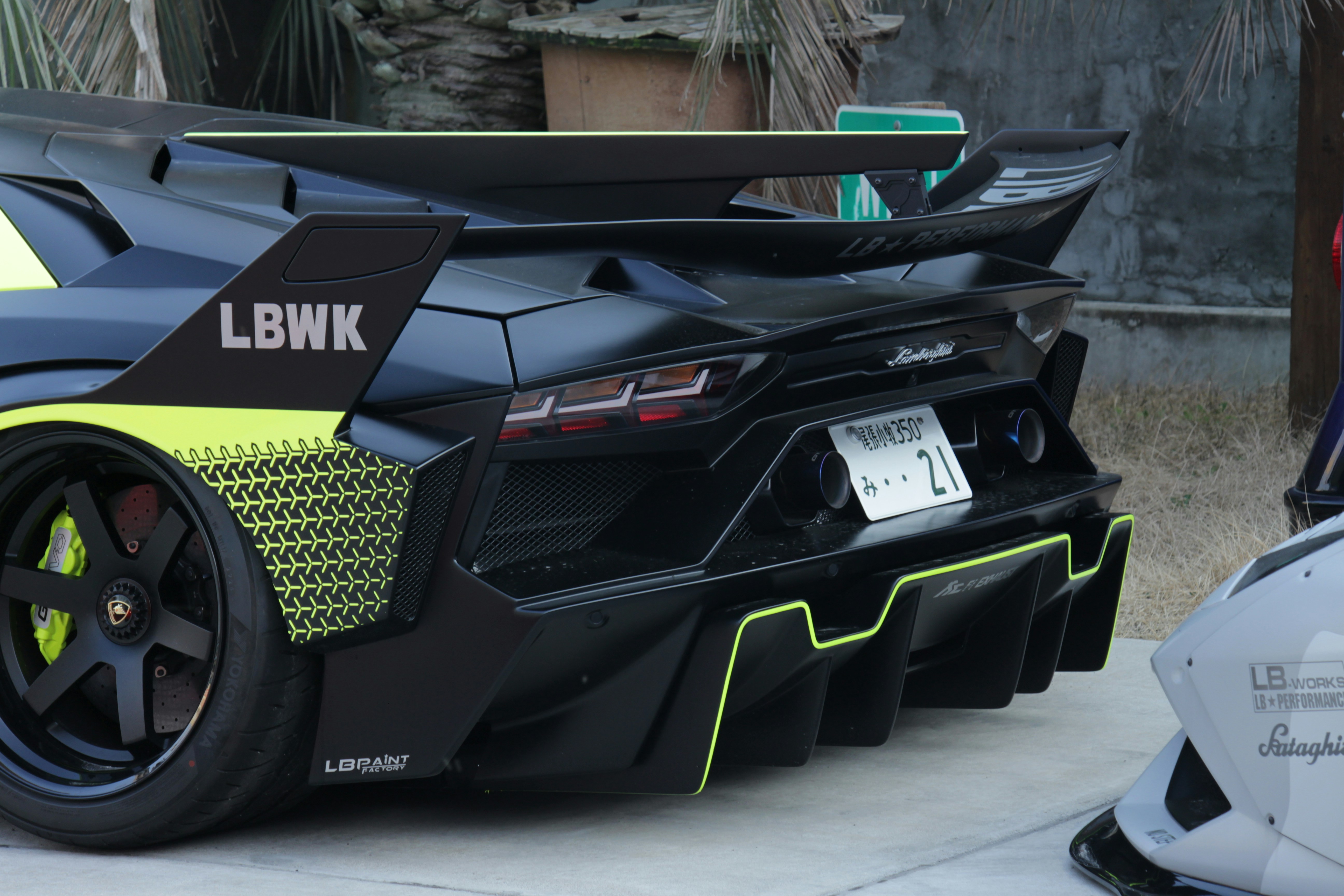 Midnight Viper: The Tailfined Beast of the Driveway