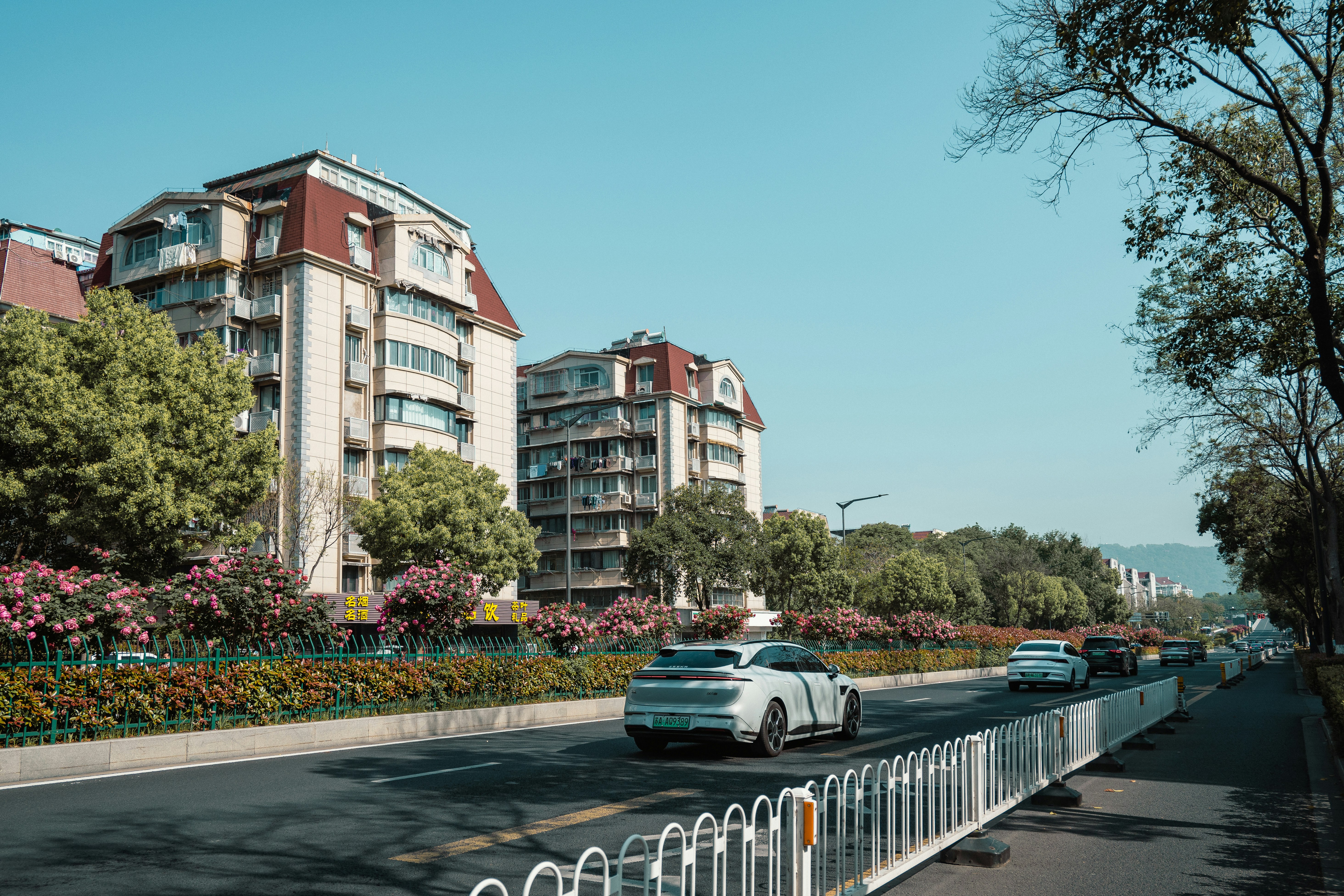 Urban boulevard in soft midday light with a silver sports car gliding past blooming greenery
