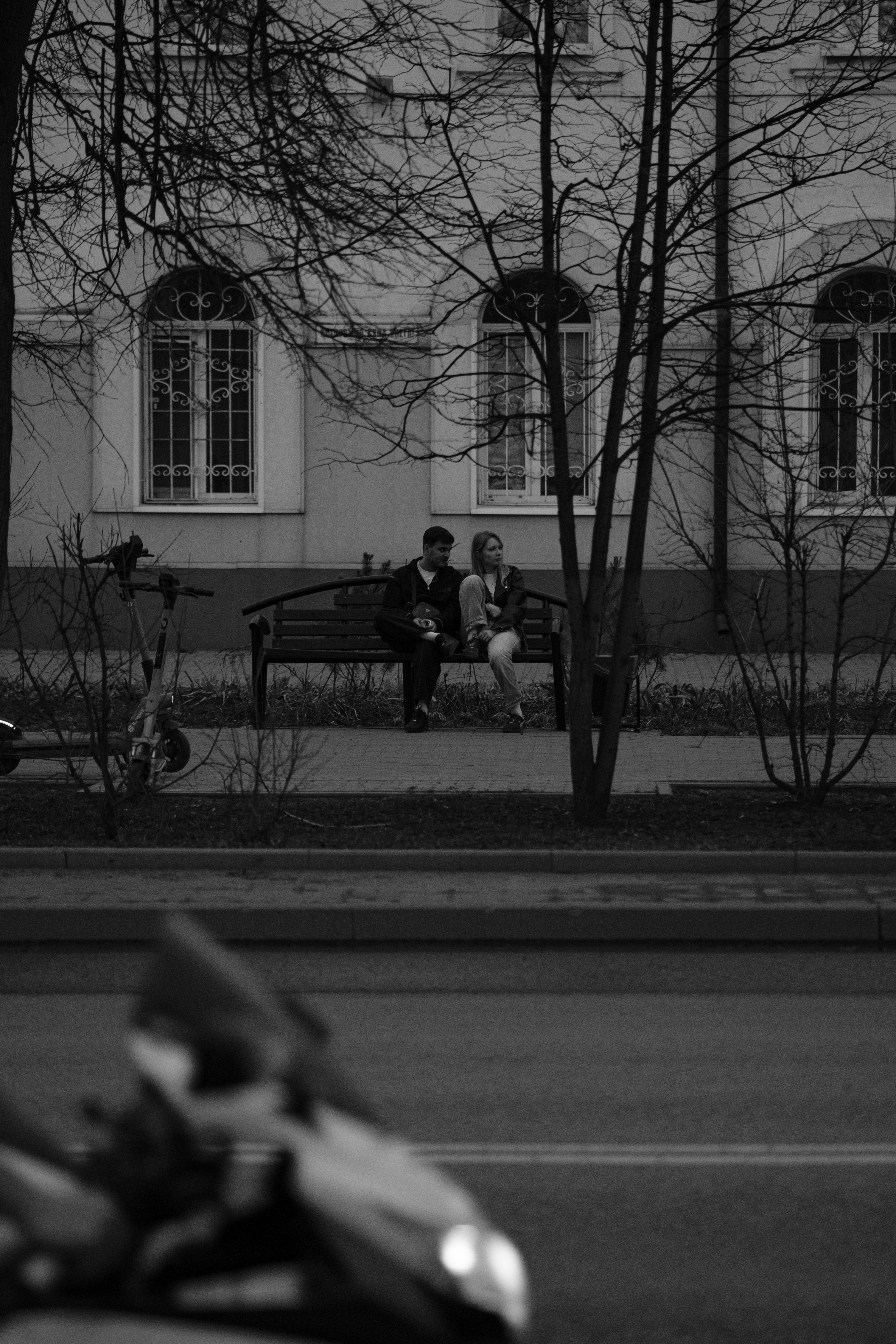 Bench Conversation under Bare Trees