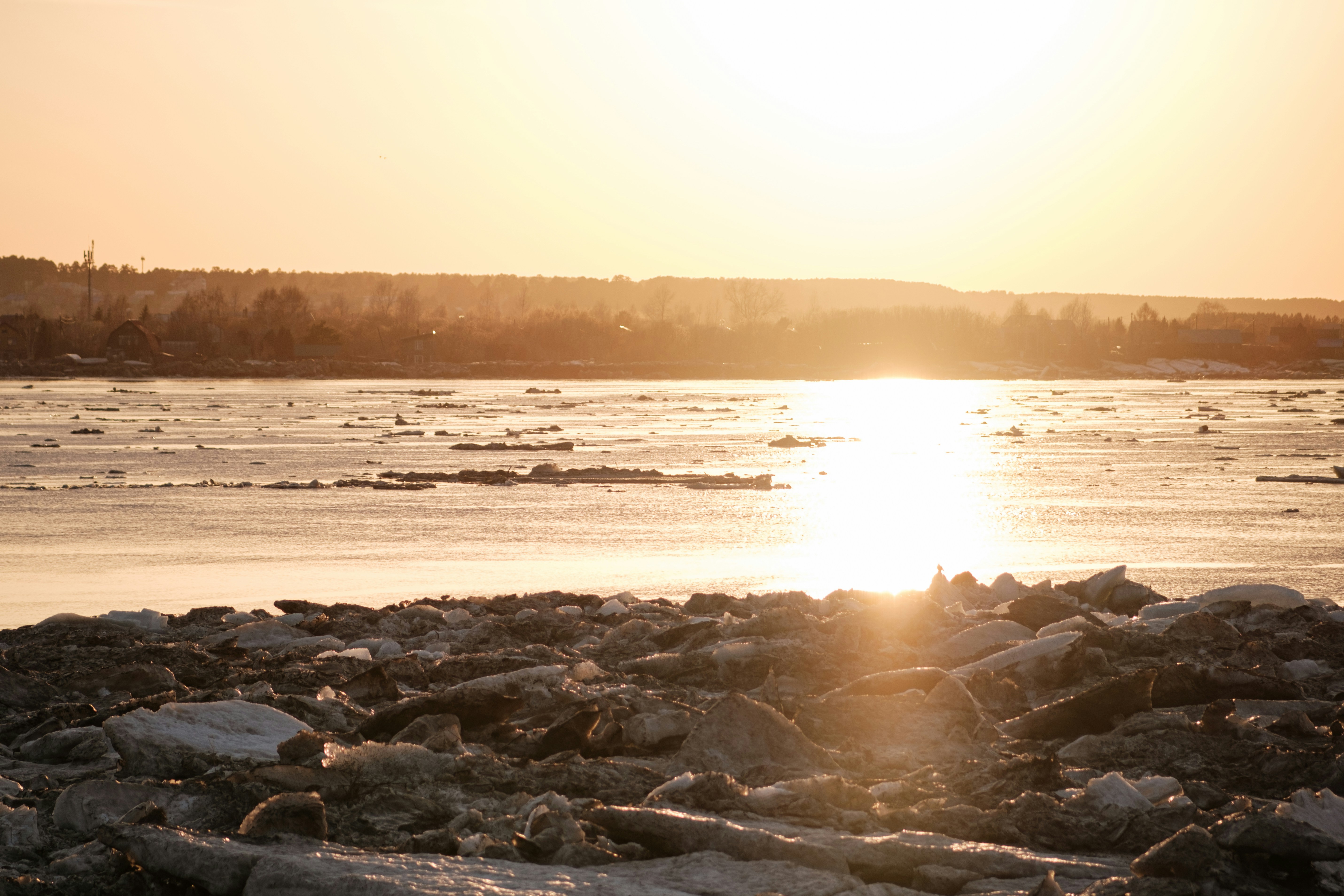Sunlit Shallows: Rocky shoreline at golden hour