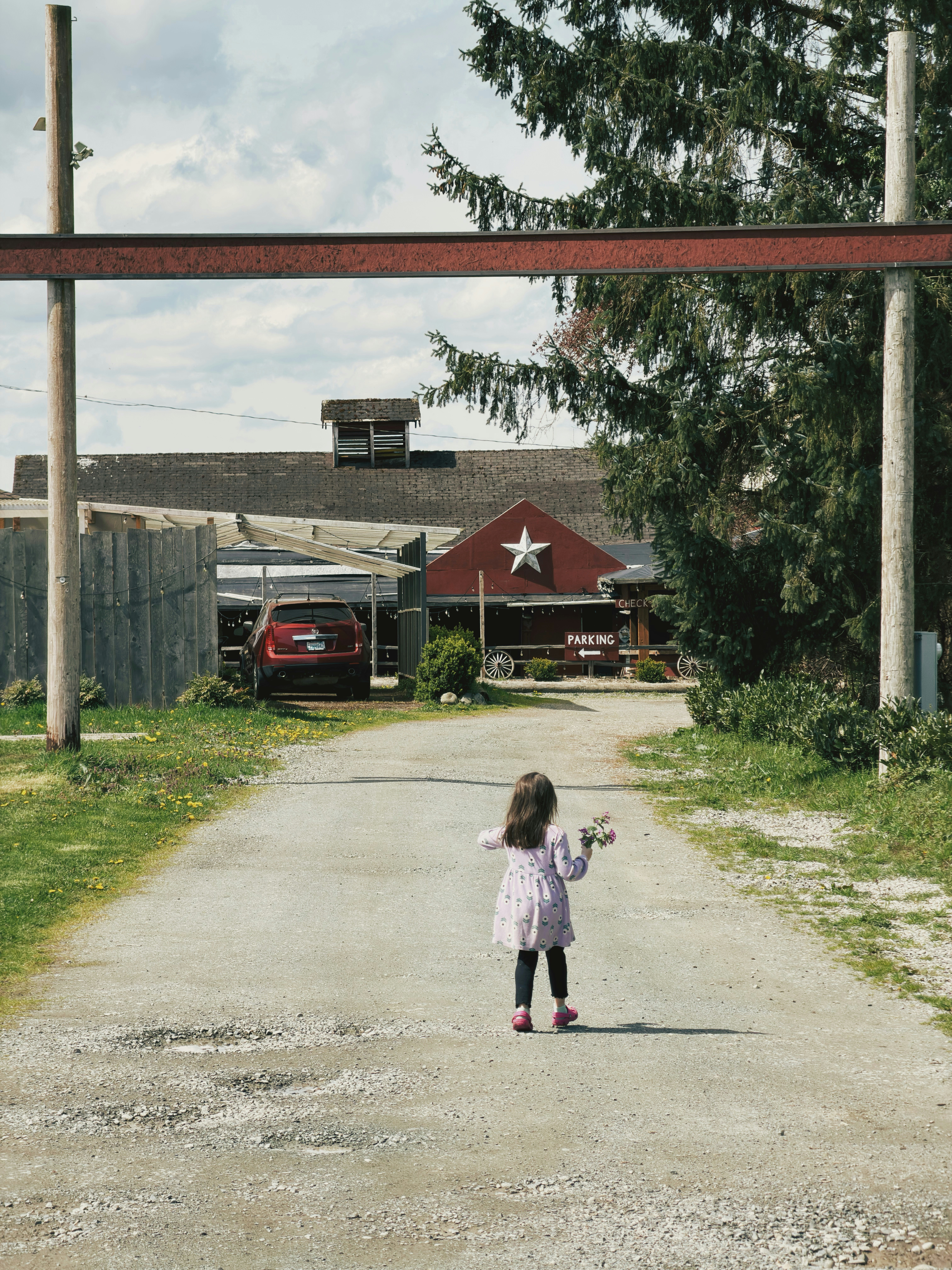 Little Runner Toward the Red Star Barn