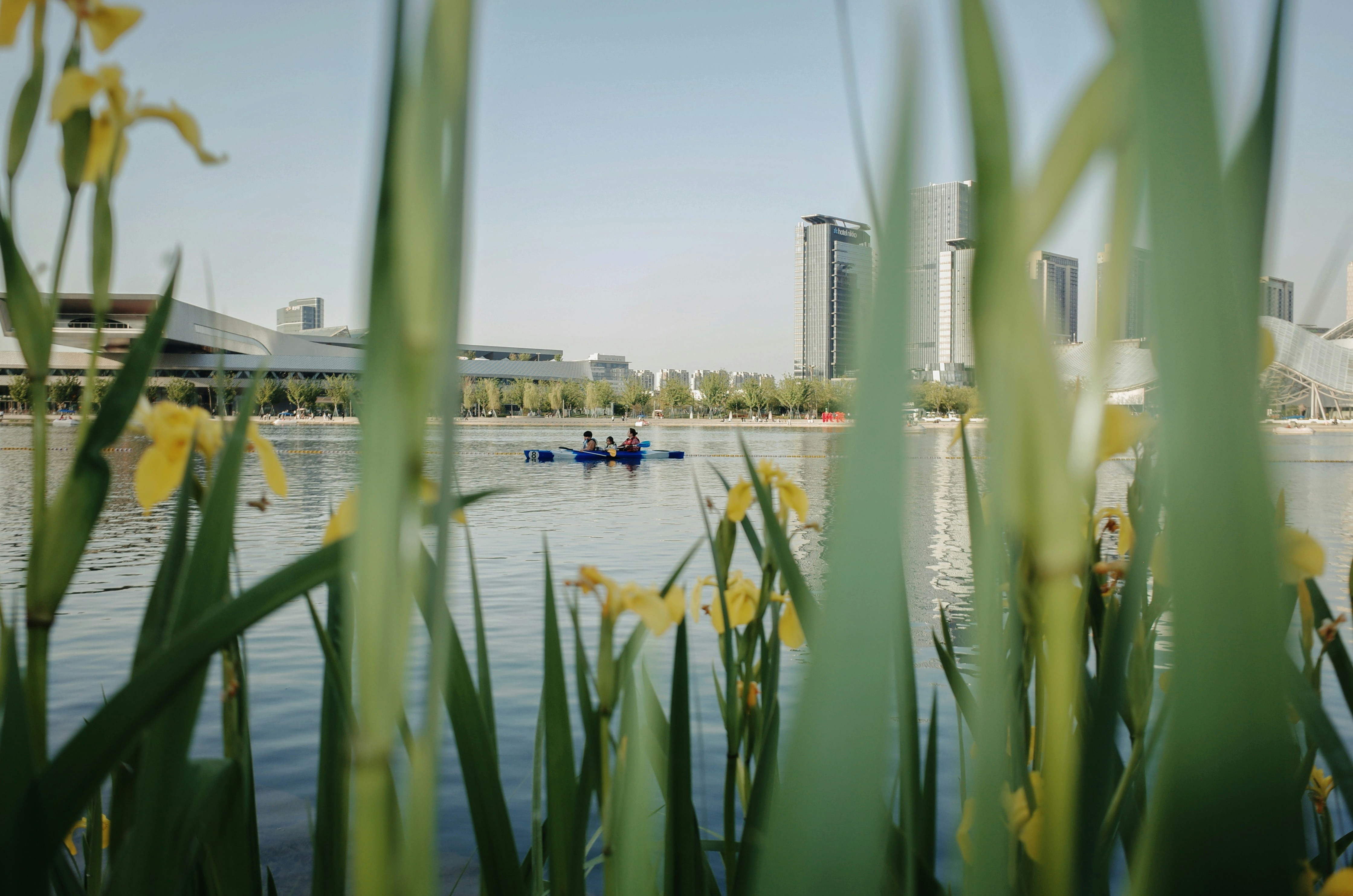 Urban Riverside in Focus: Kayaks Between Reeds