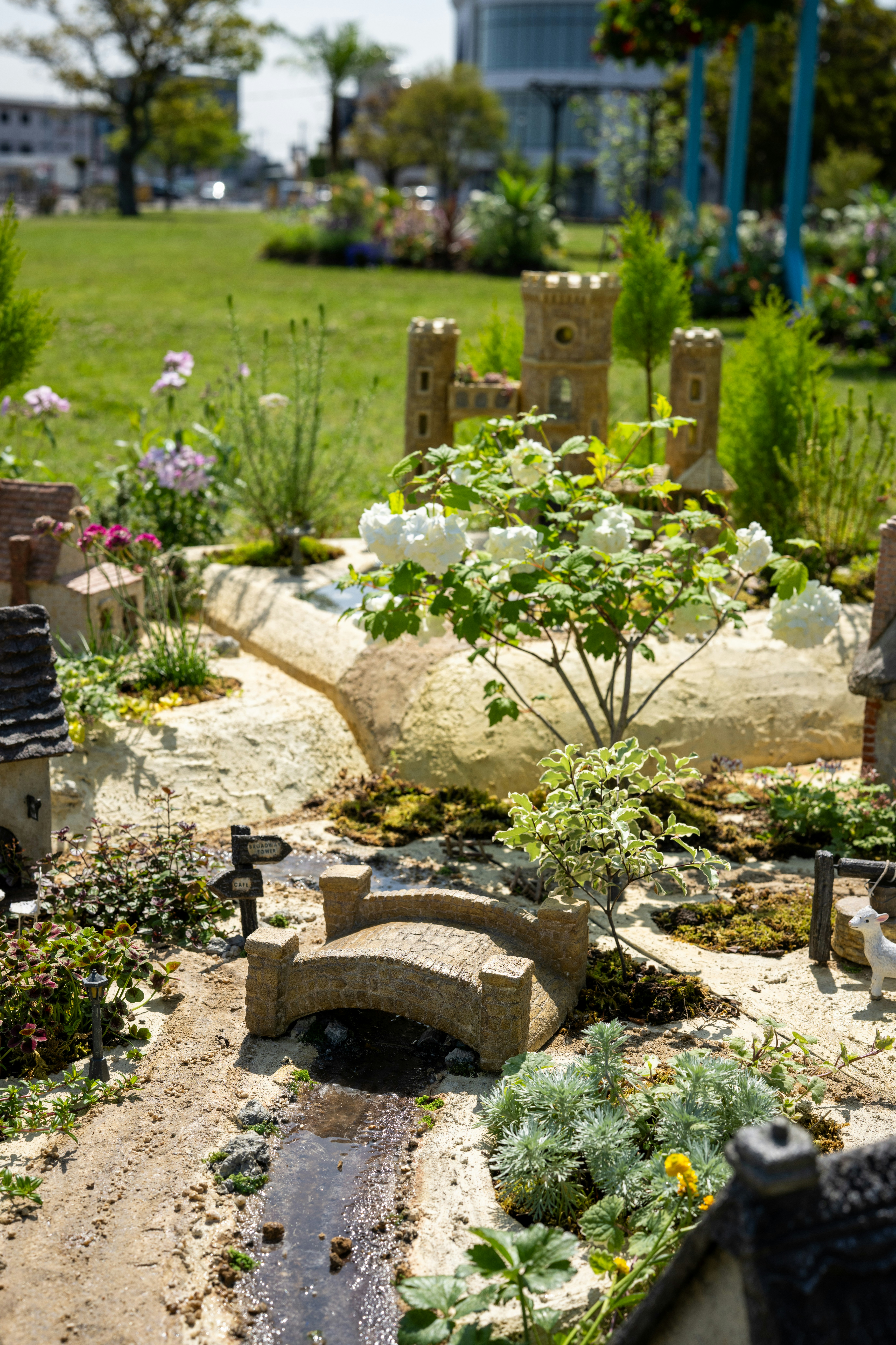 Miniature Zen Garden: White Roses and Stone Bridge in Bloom