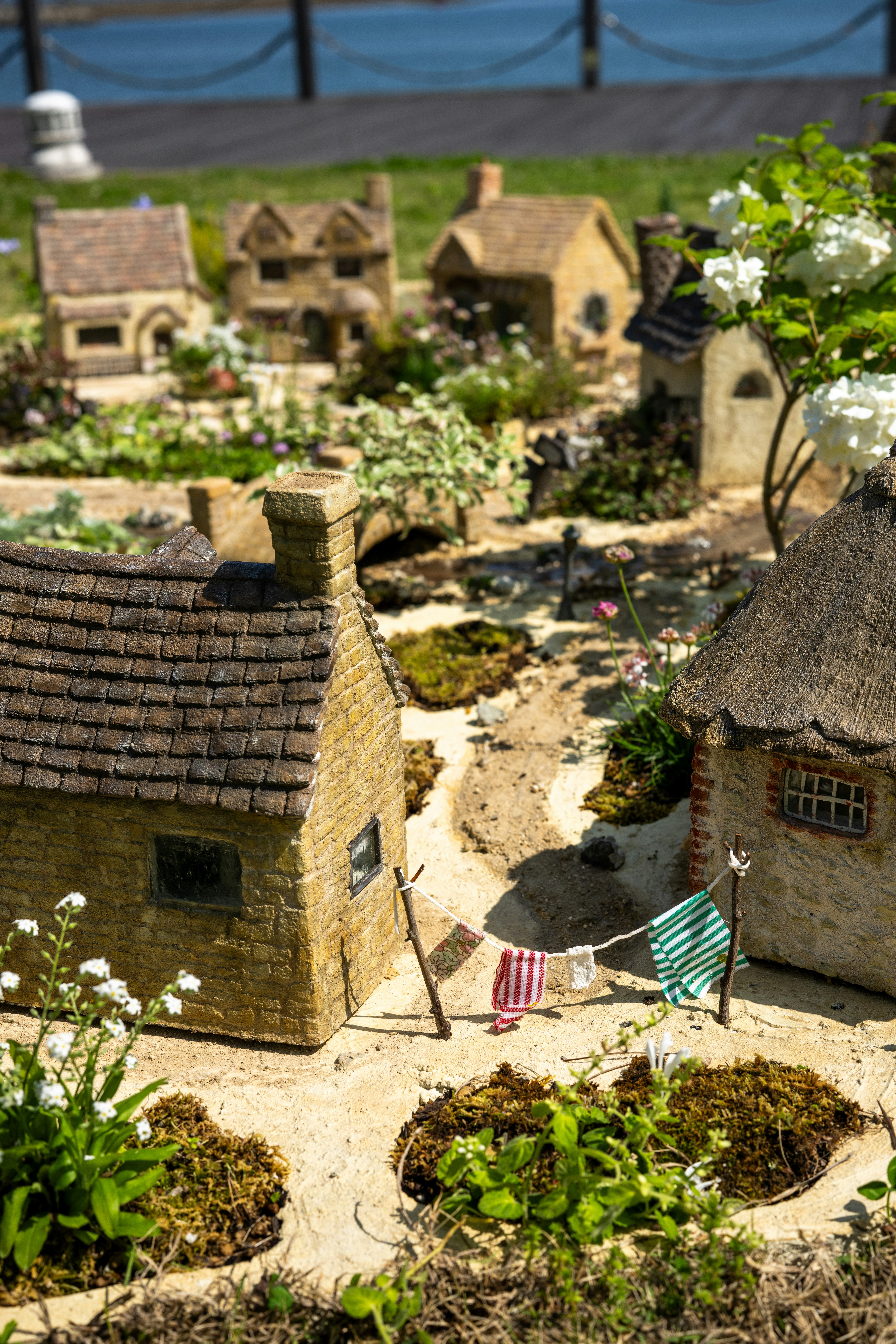 Miniature Village in Bloom: A Sunlit Tapestry of Clay Roofs and White Blossoms