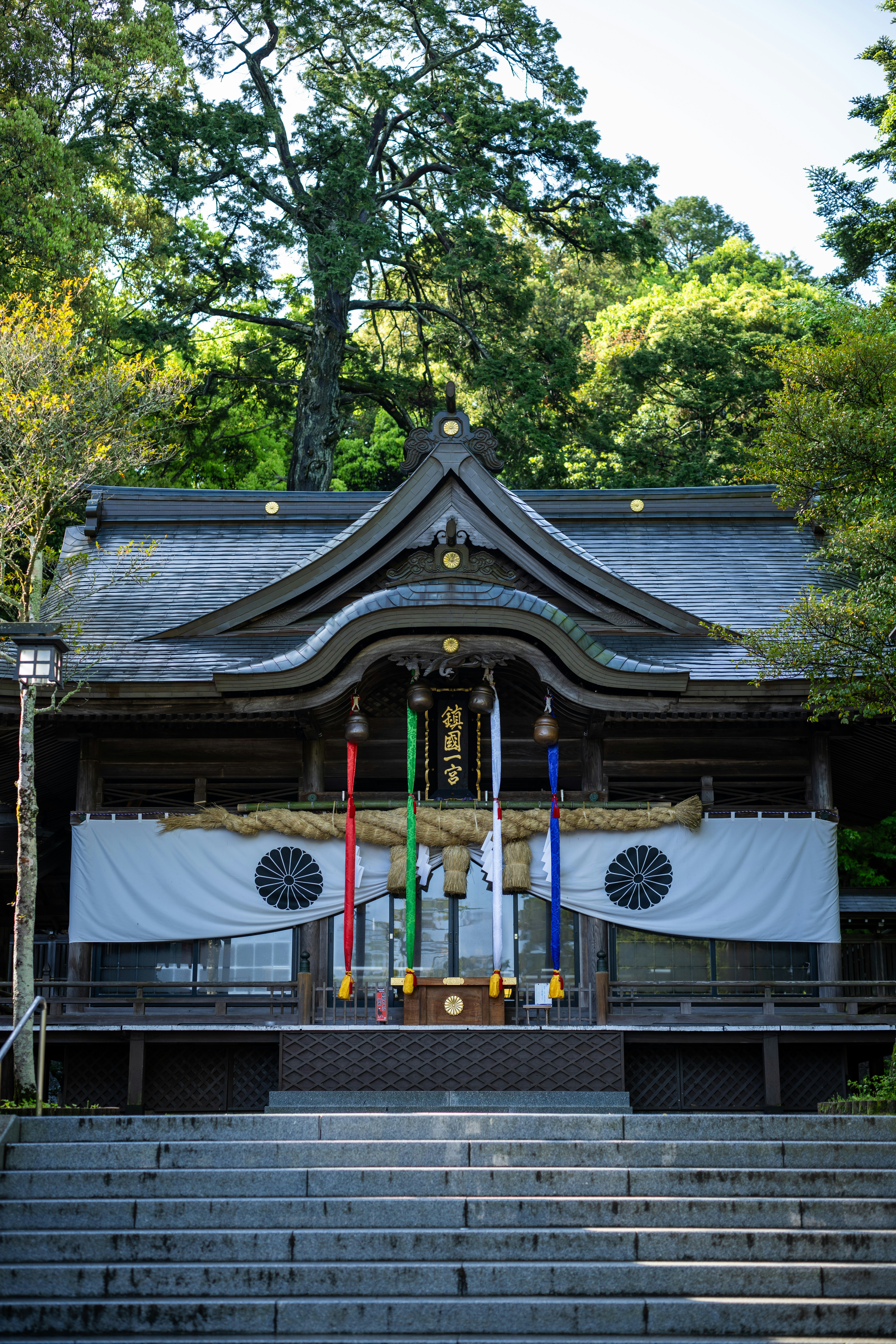 Temple Facade under Neem Canopy: A Quiet Shrine Framed by Colorful Drapes