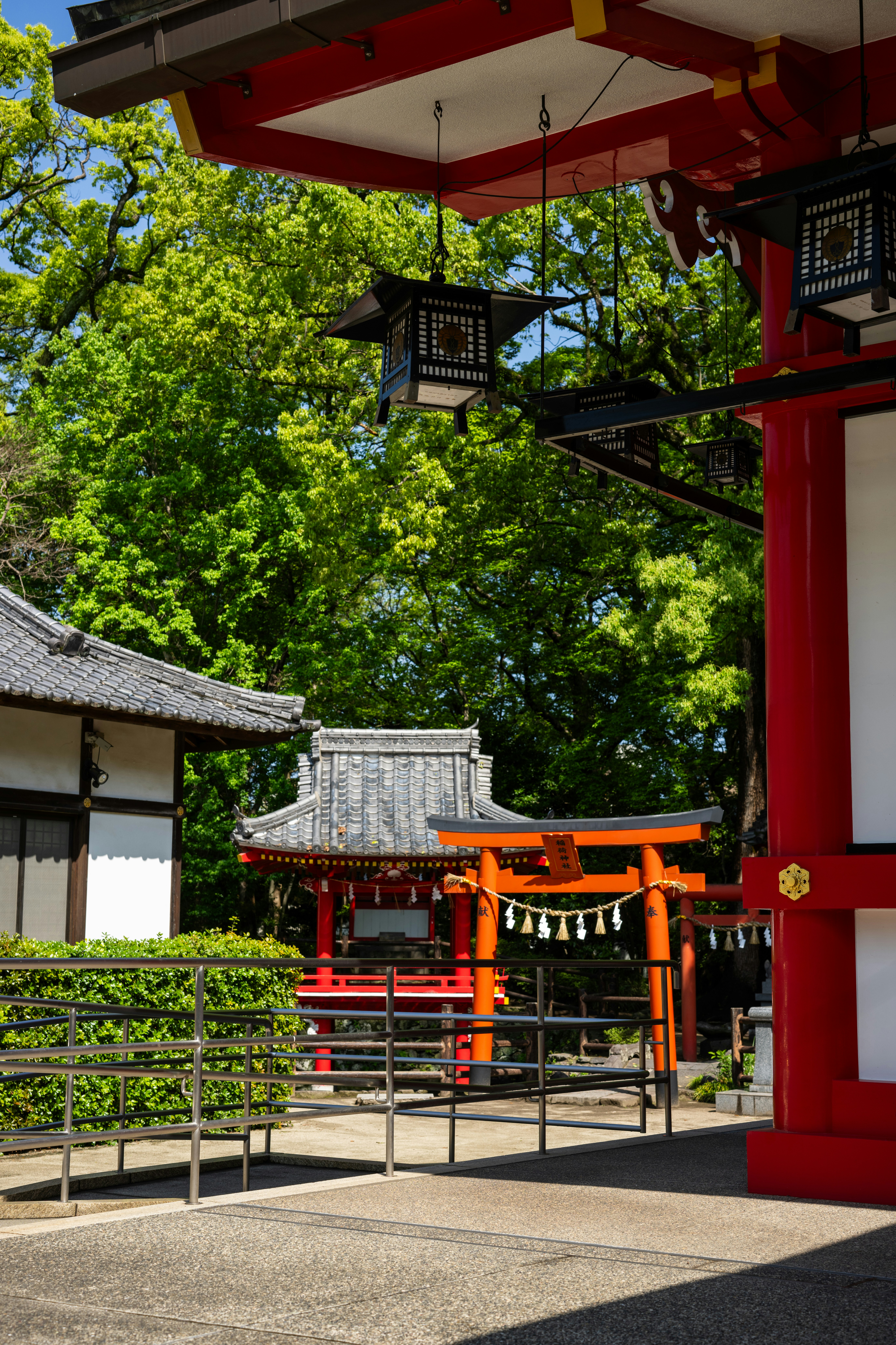 Bright Gateways and Red Torii Framing a Shinto Courtyard