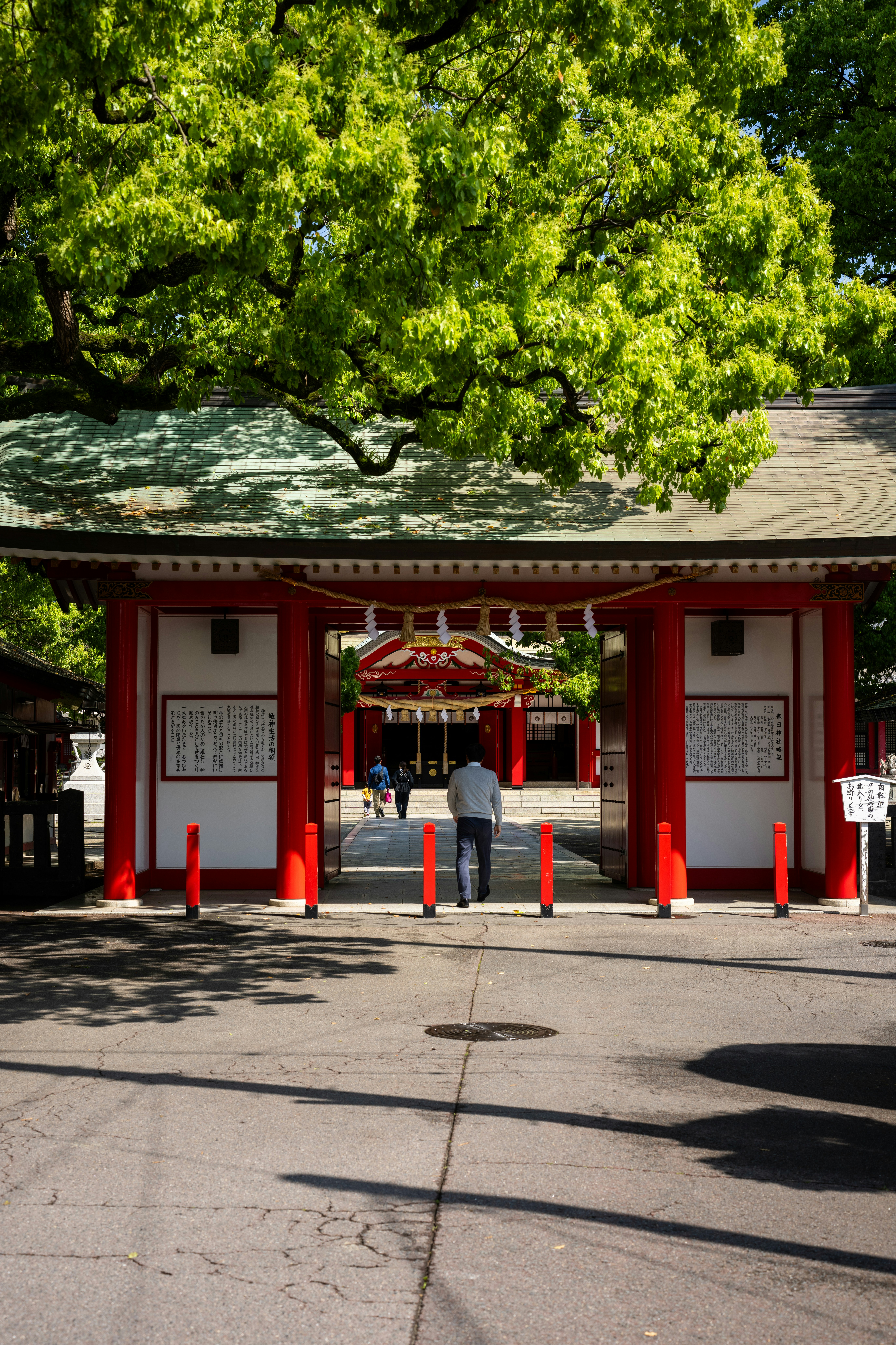 Gate to Tranquil Tradition: A Shrine Entrance Bordered by Verdant Canopy