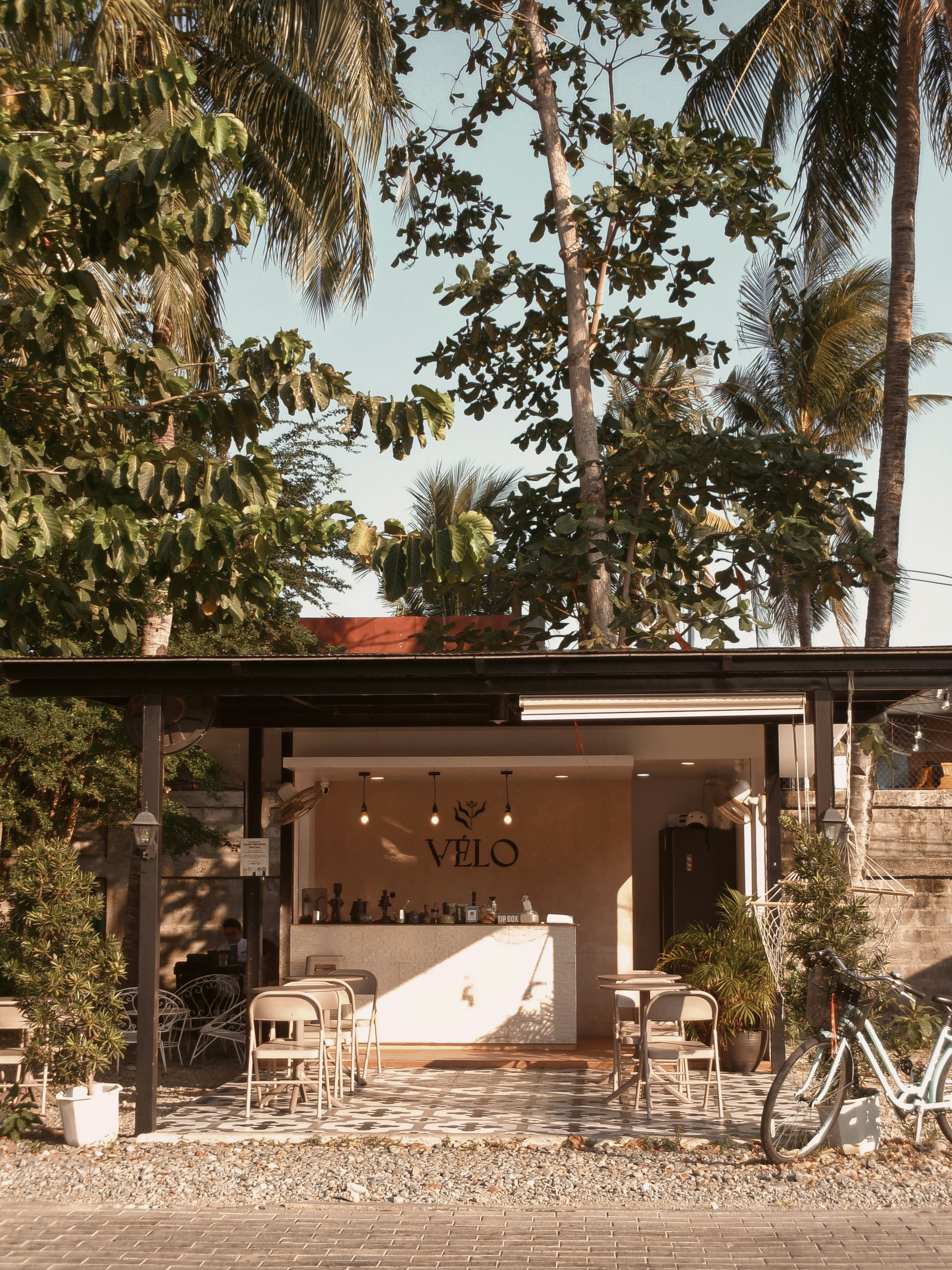 Cafe Oasi: A Palm-Shaded Interior Embraced by Sea Breezes