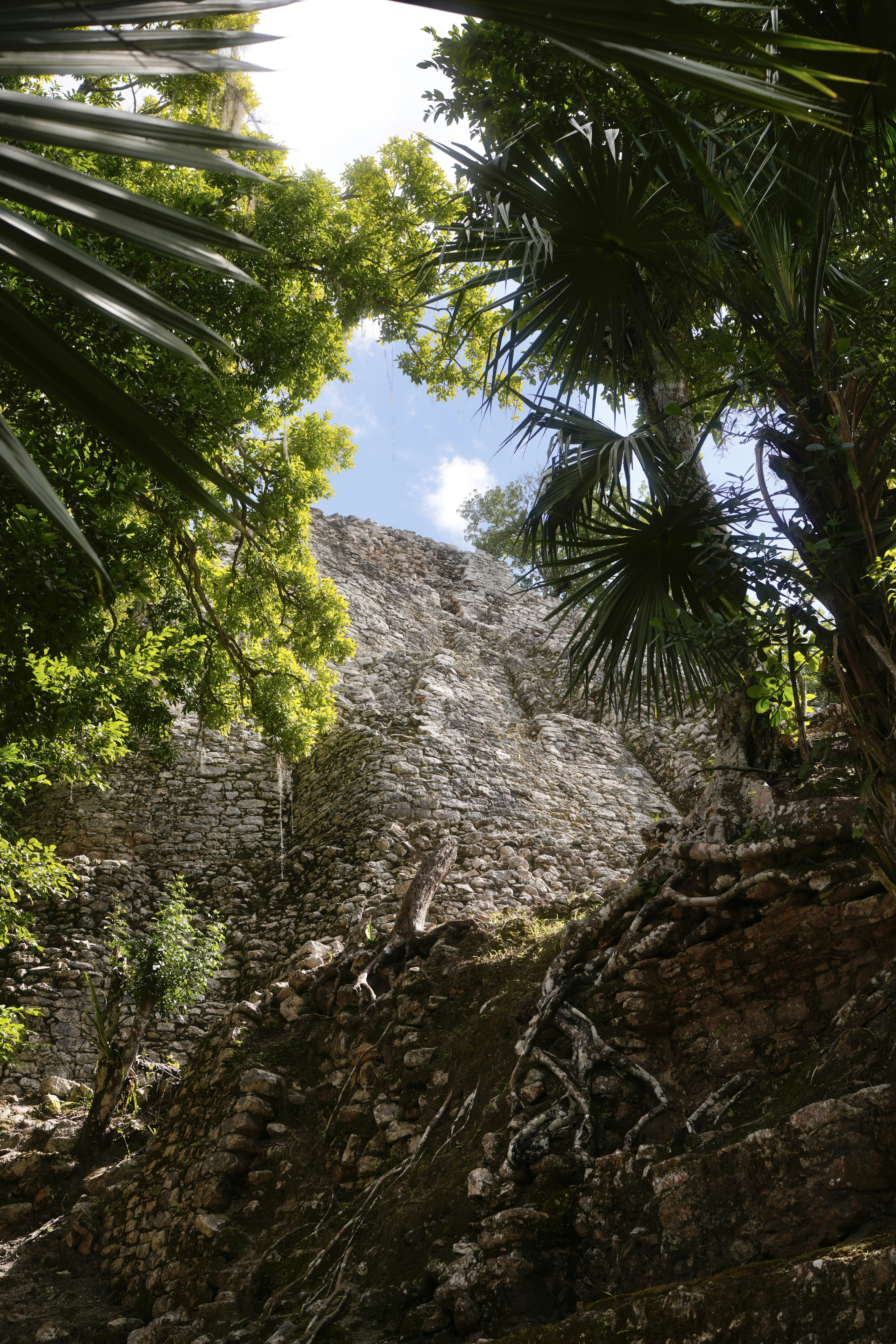 Sunlit Ruins Framed by Jungle Canopy