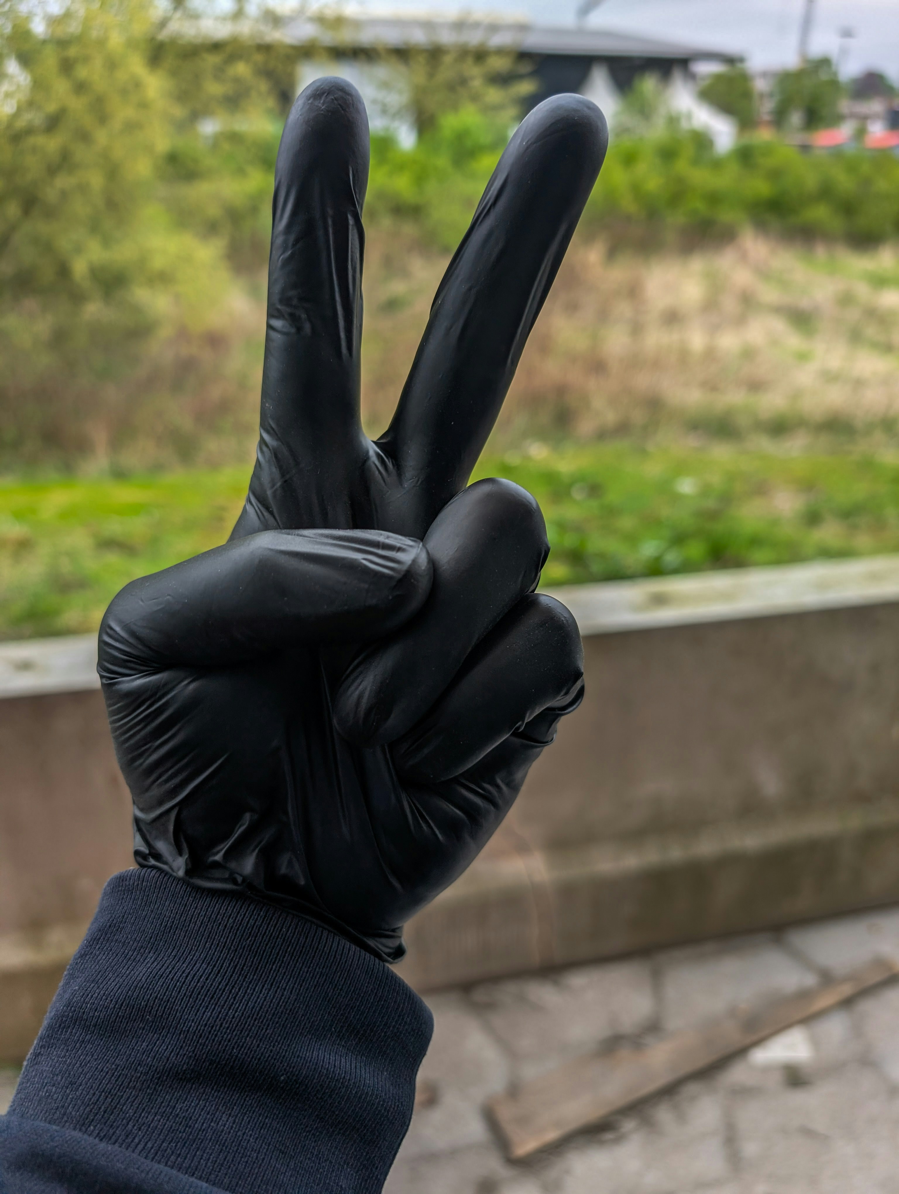Gloved Victory Sign Against a Blurred Outdoor Backdrop