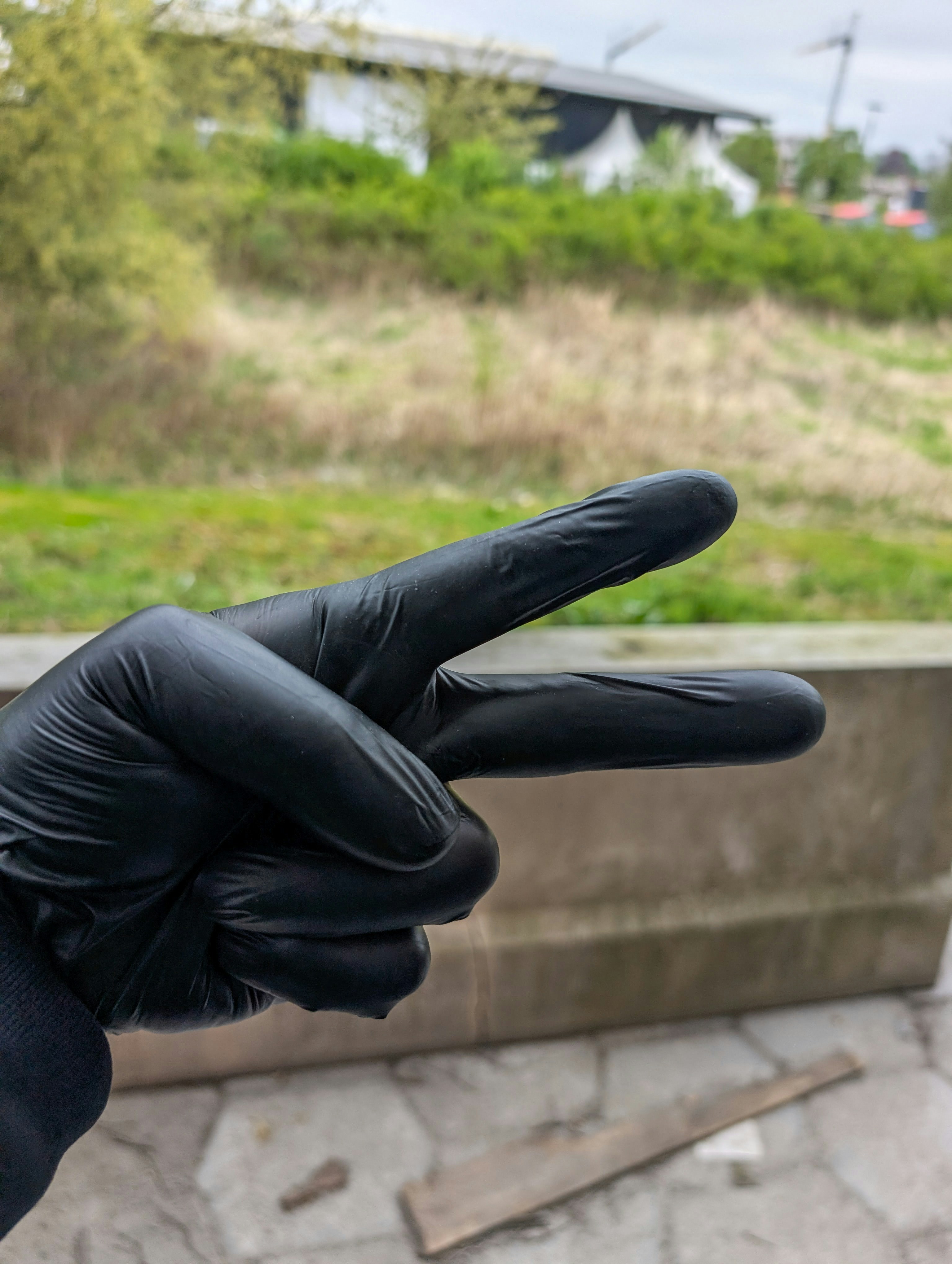 Gloved Peace Sign: A Bold Gesture Staged Against Urban Greenery