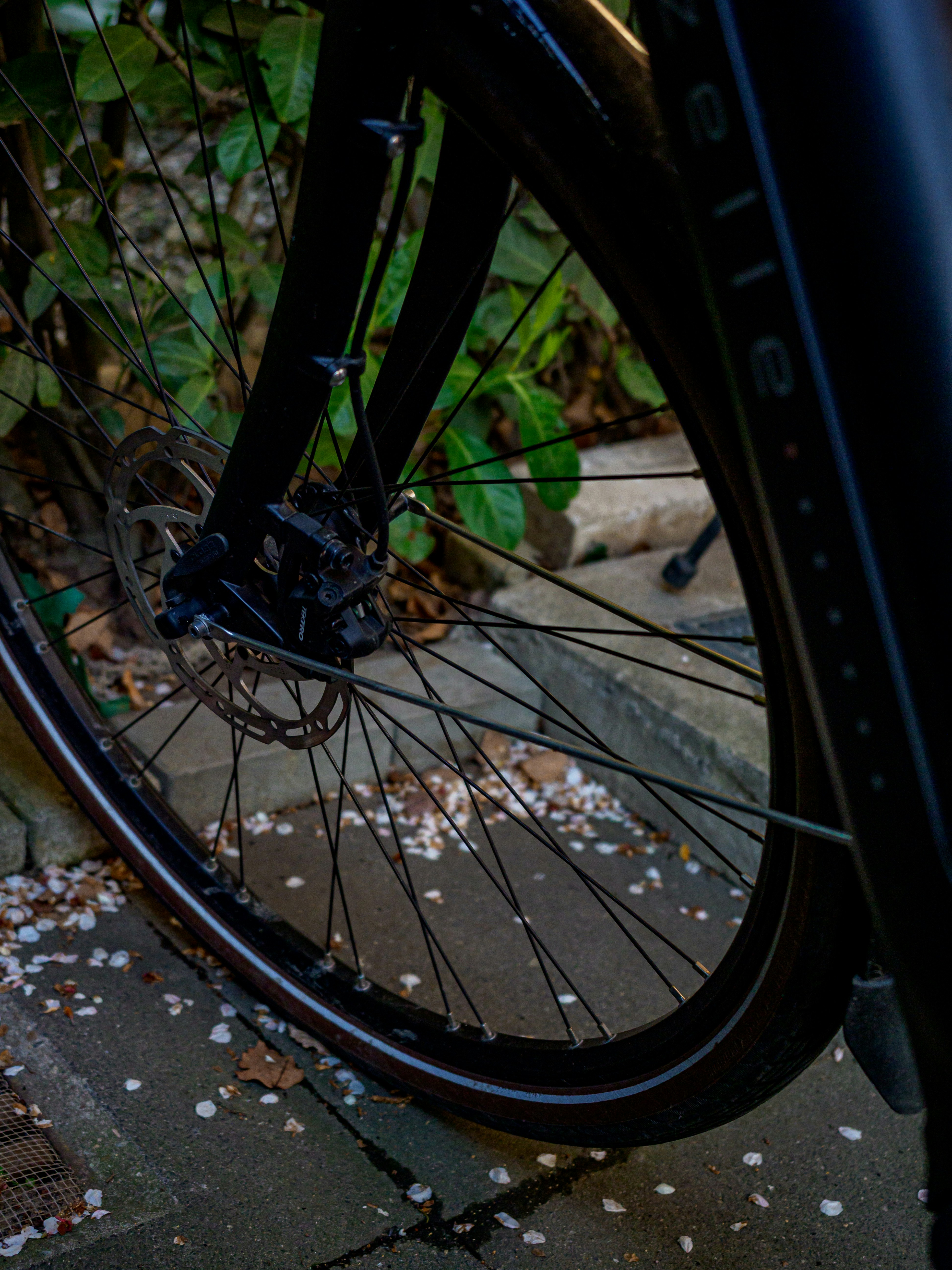 Disc Brakes and Spokes in Focus: A Close-Up of a Bicycle Wheel by the curb