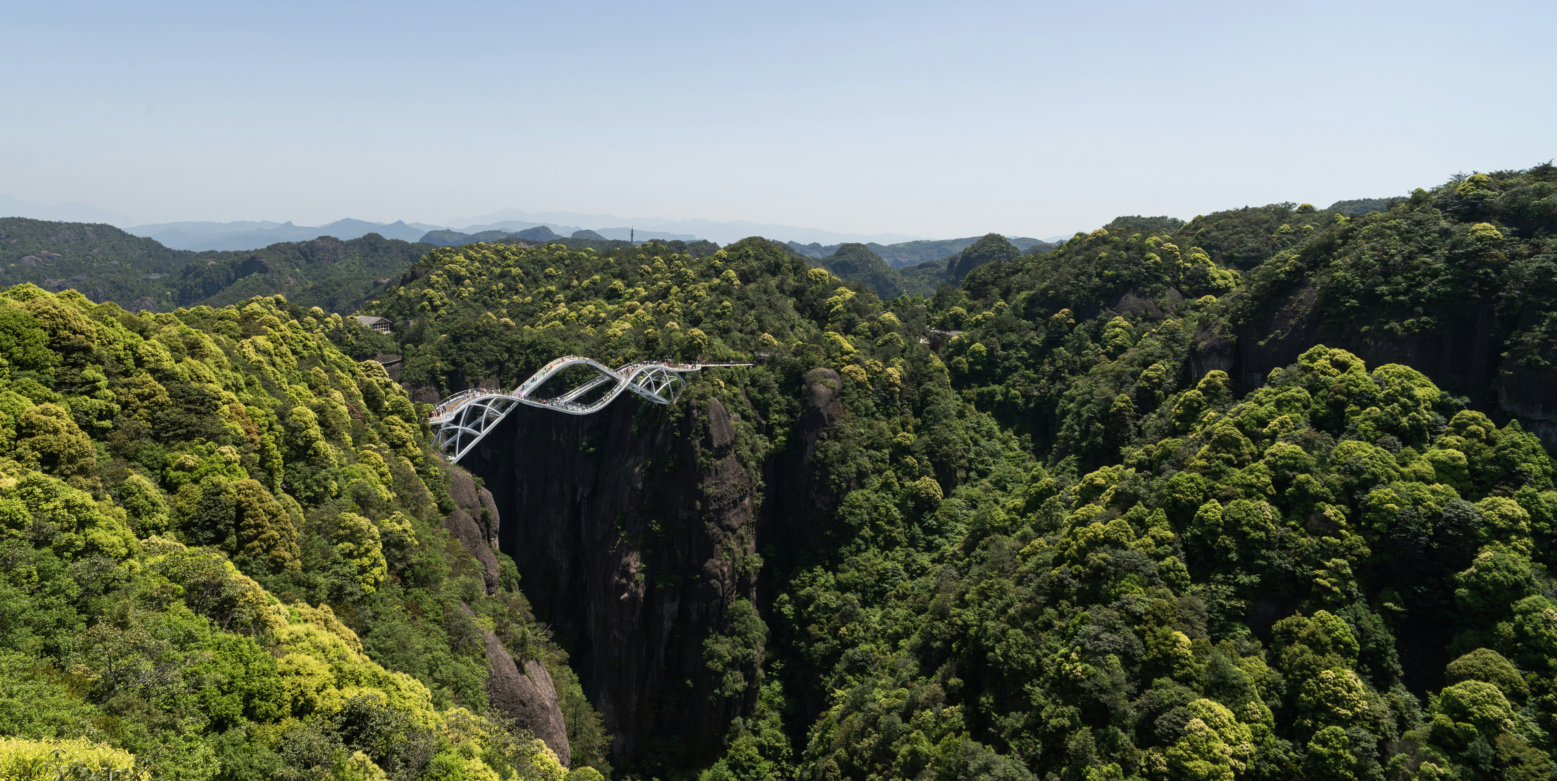 Suspended in Green: A Panoramic View Over a Canyon of Emerald Canopies