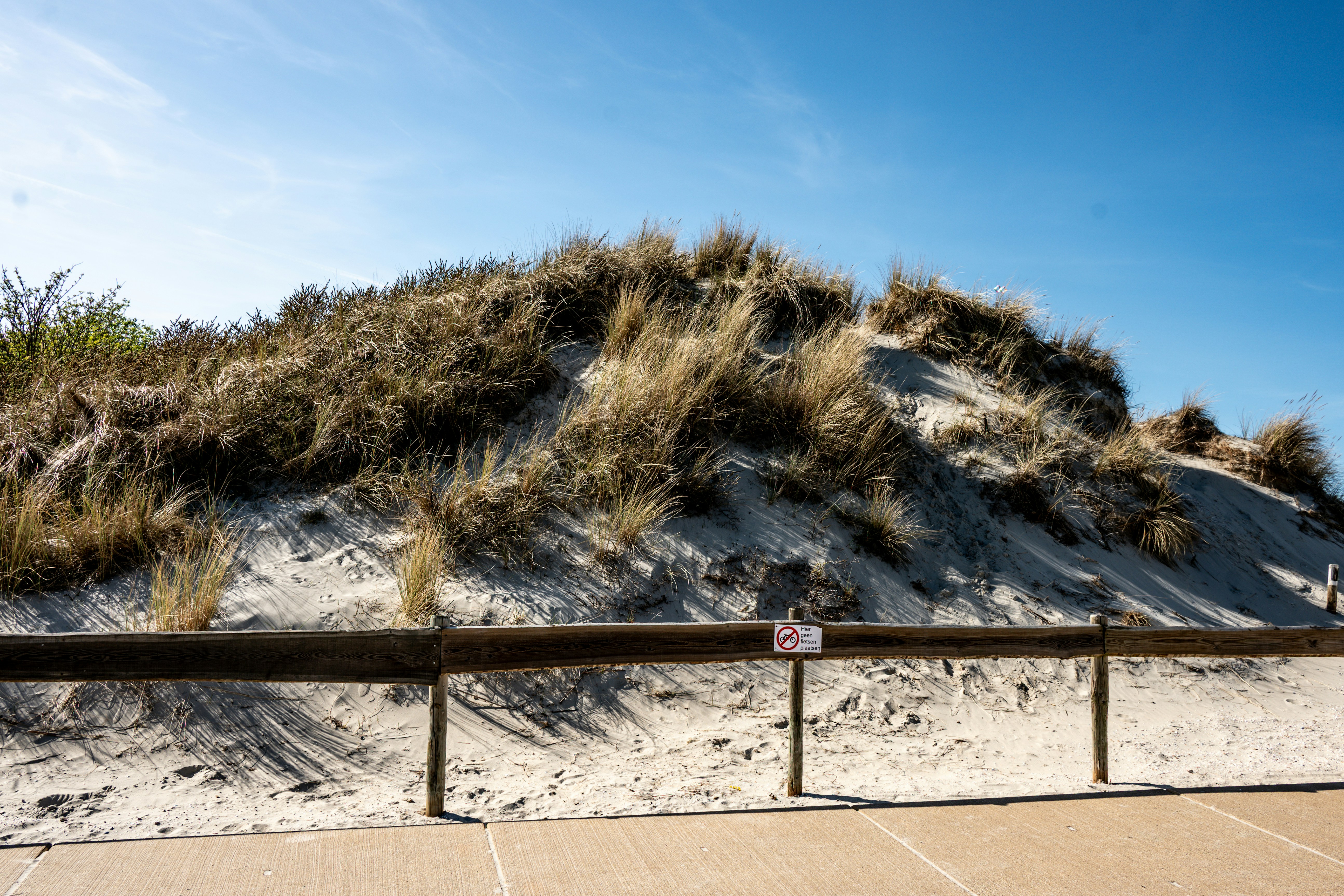 Coastal Dune Ridge Beyond the Wooden Sea-Barrier