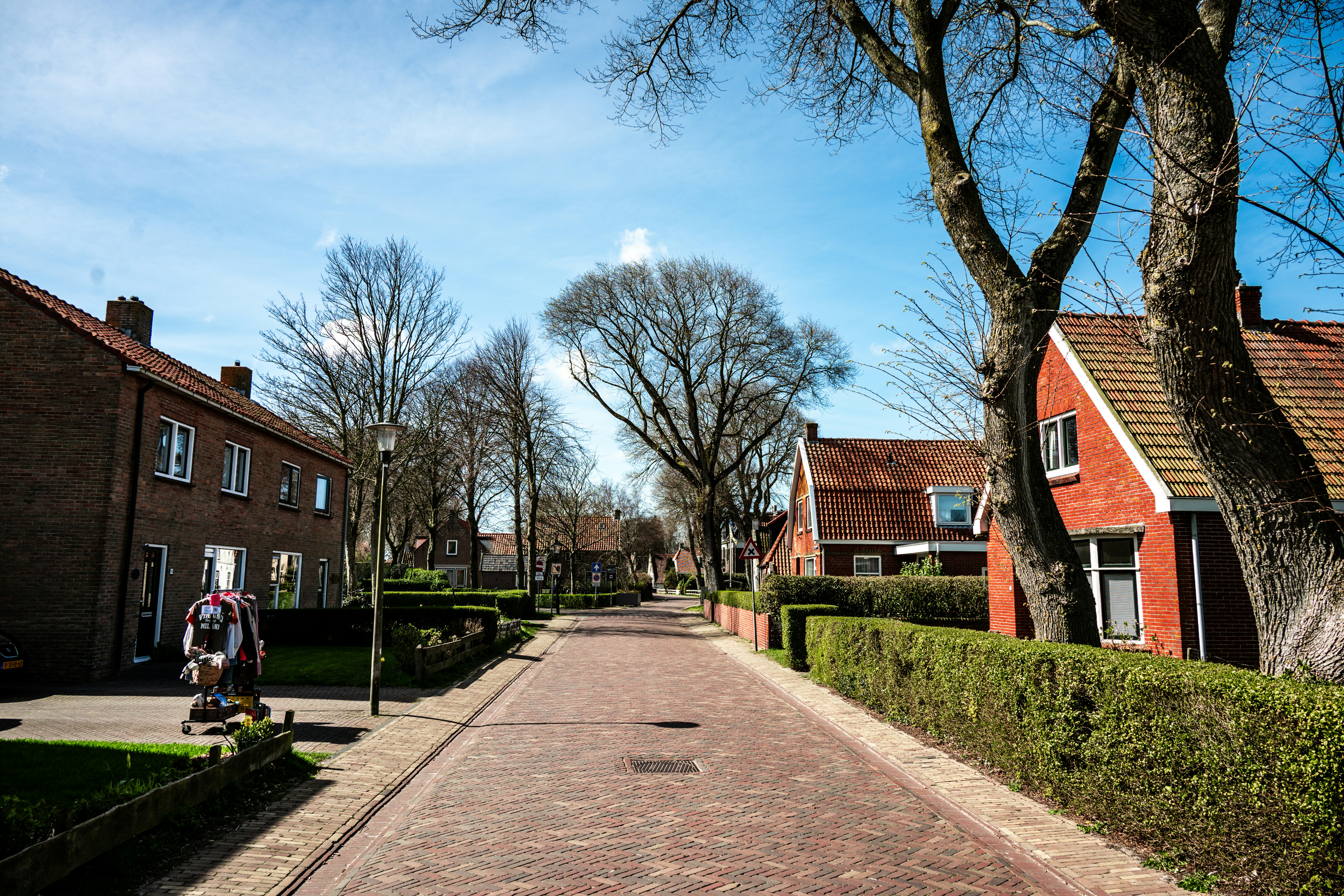 Sunlit Brick Street: A Quiet Suburban Arc