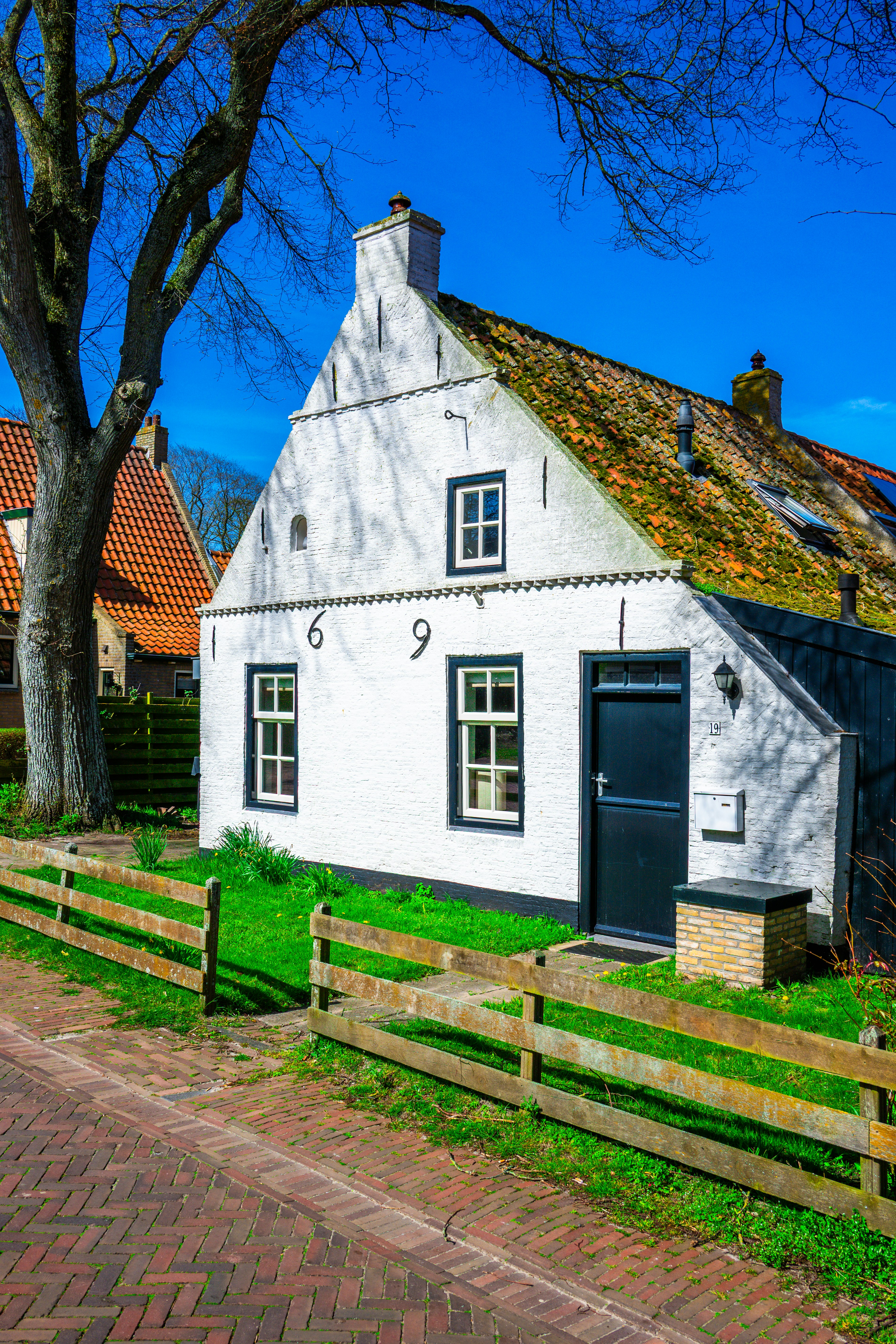 White-washed Cottage with Charred Roof Tiles and Shadowy Tree