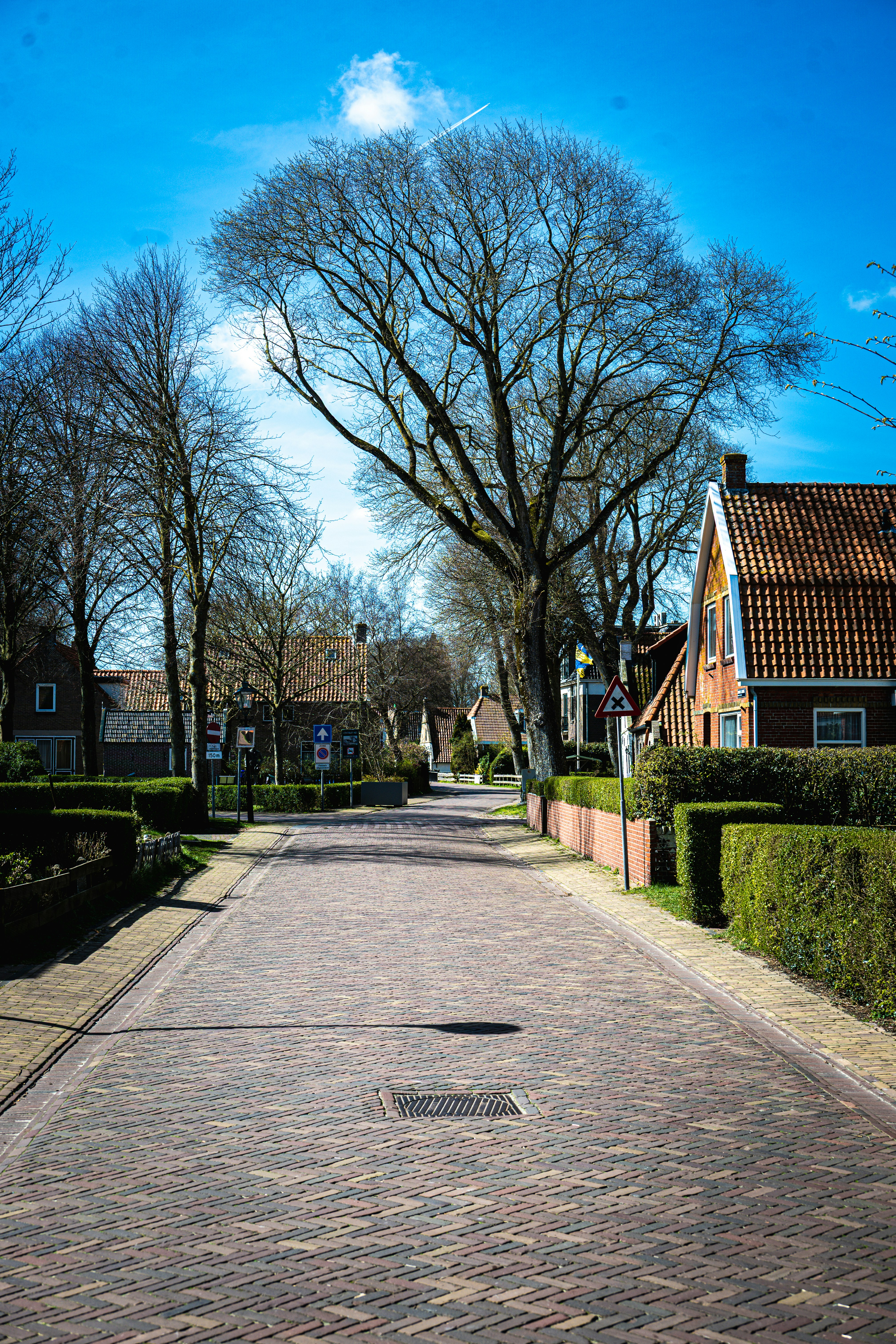 Sunny Dutch Street: Quiet Porsche of Lush Trees and Brick Homes