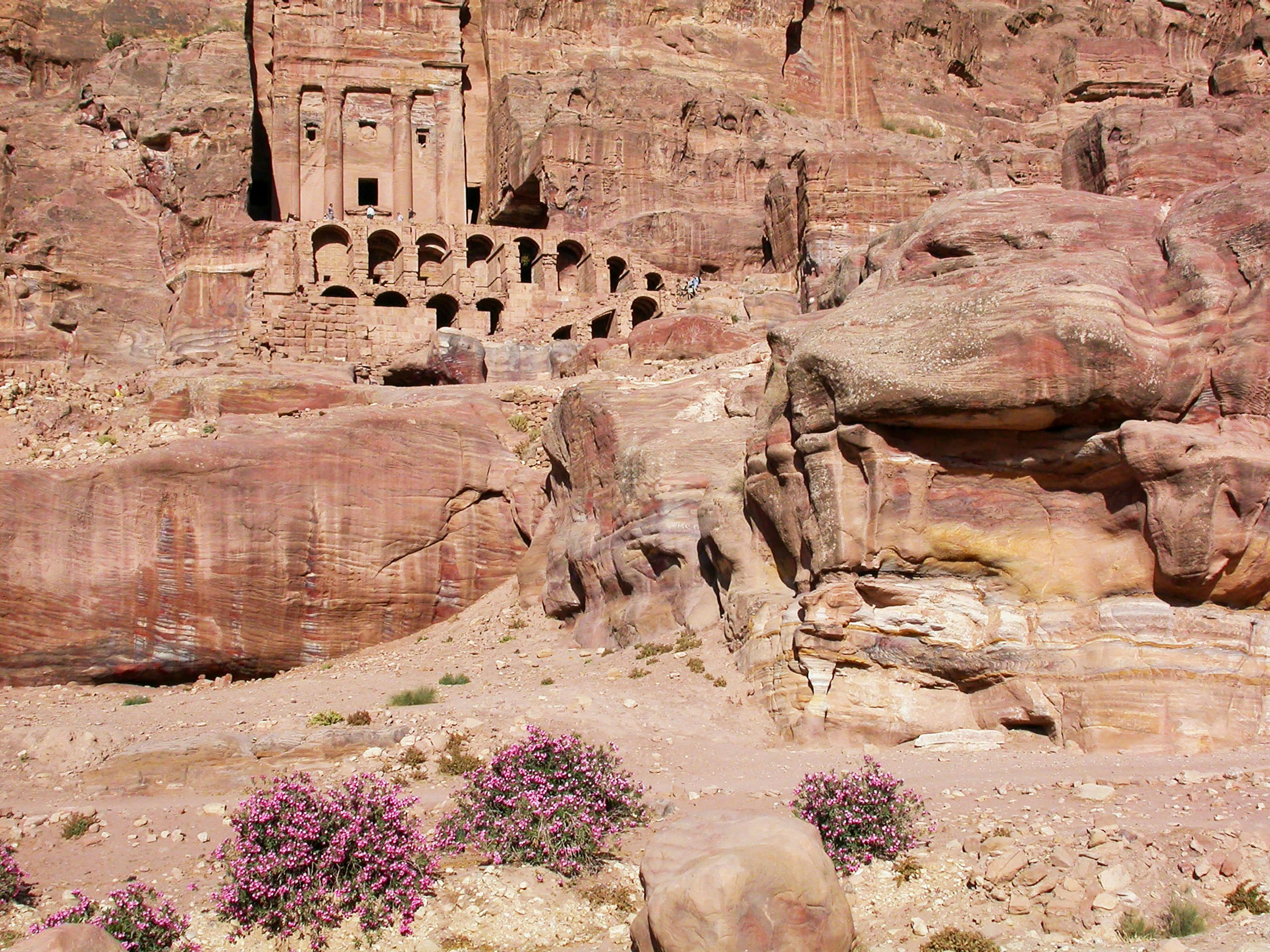 Ancient Arches Above Desert Bloom