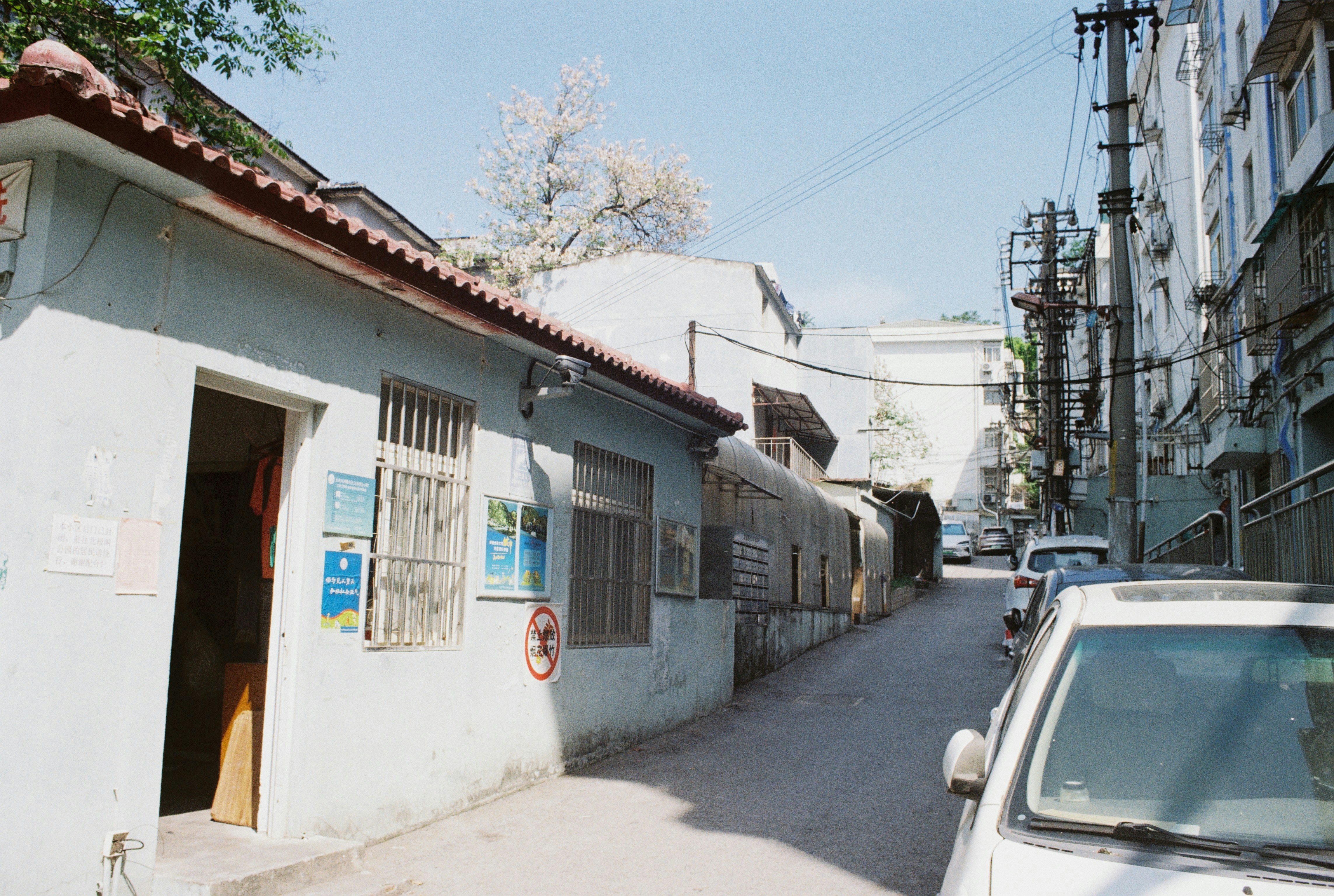 Sunlit Alley Between Low-Slung Homes