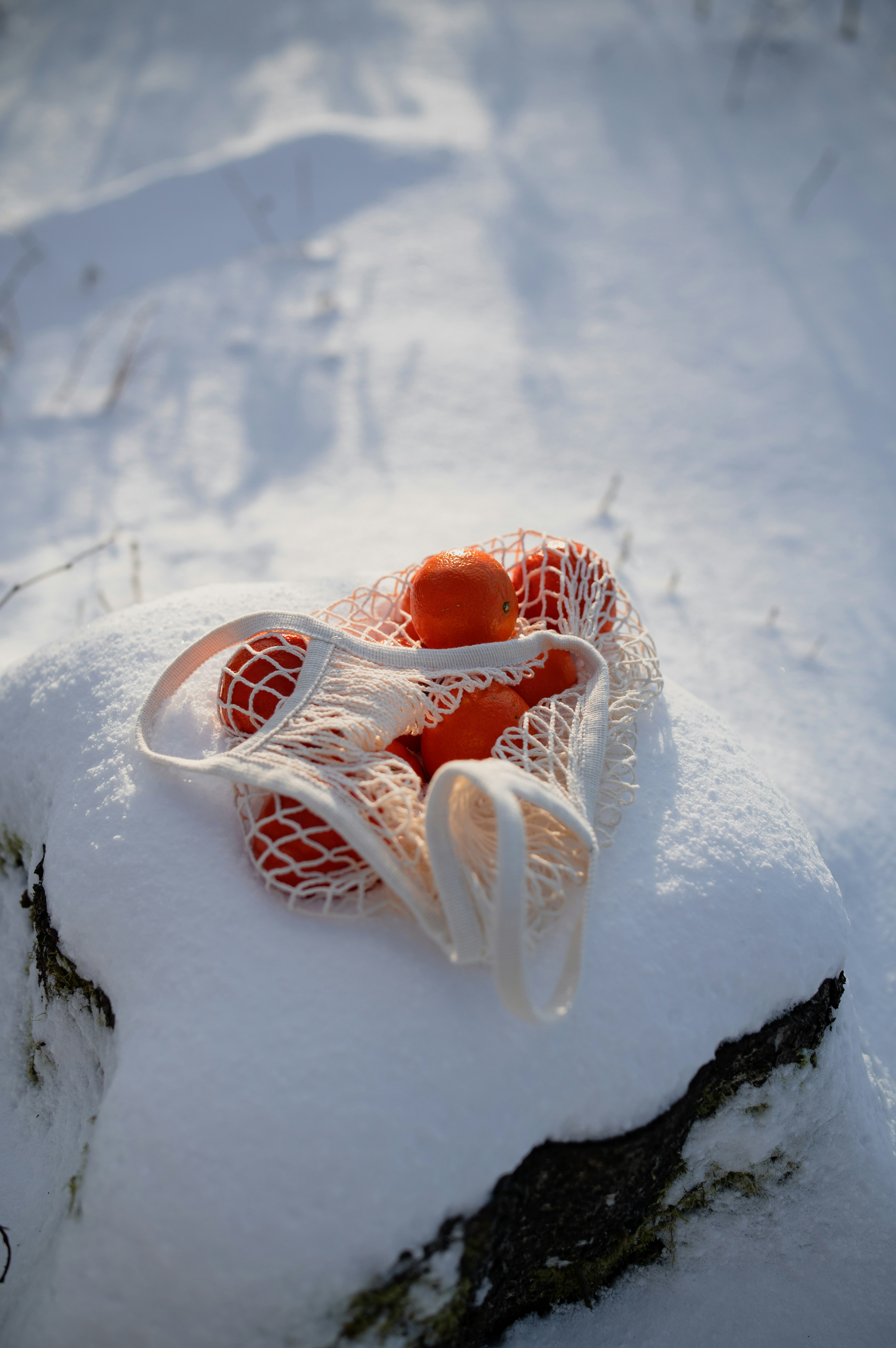 Scarlet Bounty in Snow: A Netted Tote of Autumn Heat