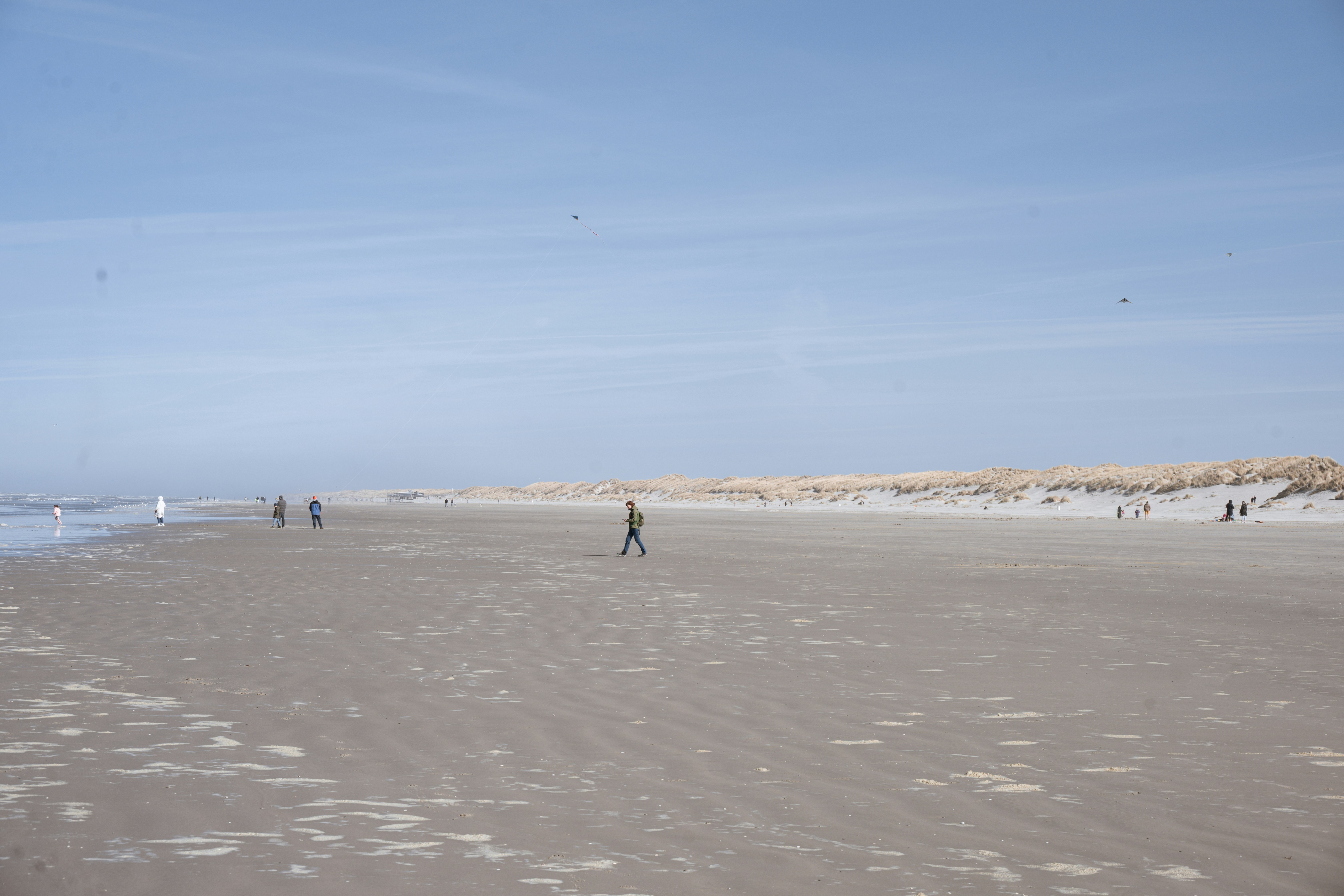 Lonely Runner Along a Quiet Shore