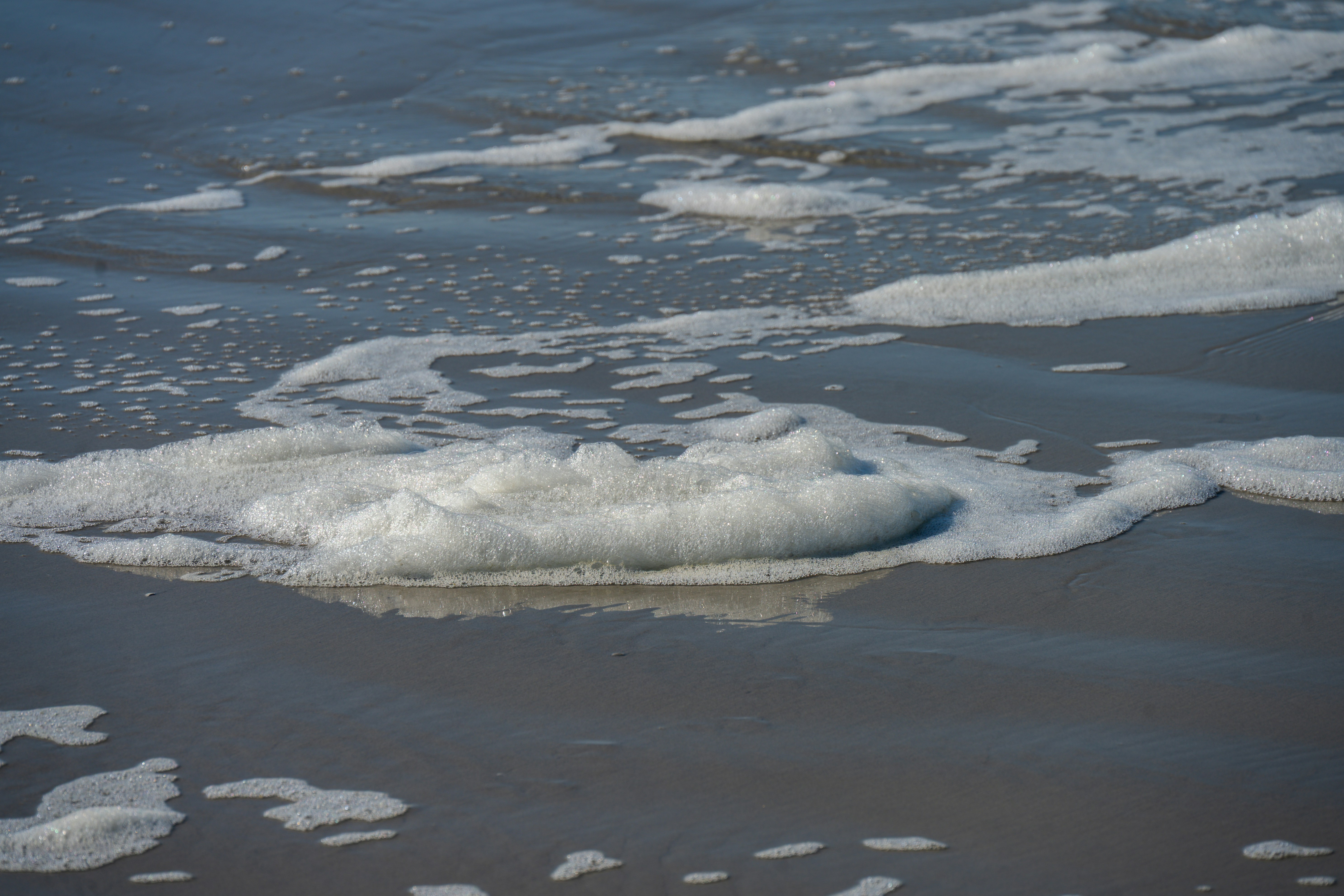 Foam Carved by Tide: A Quiet Moment on Wet Sand