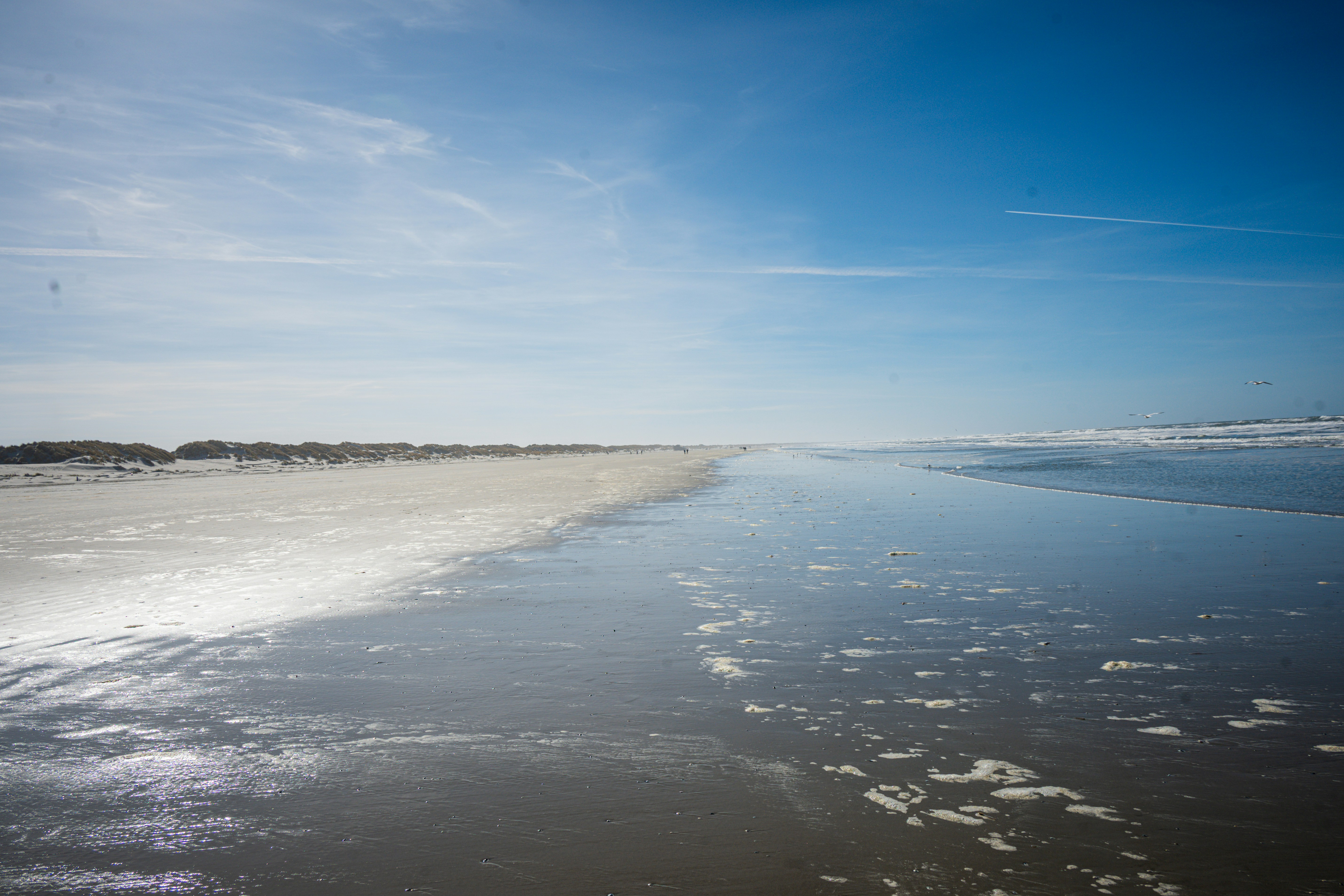 Coastline in Glassy Light: A Quiet Stretch of Shore Under a Wide Sky