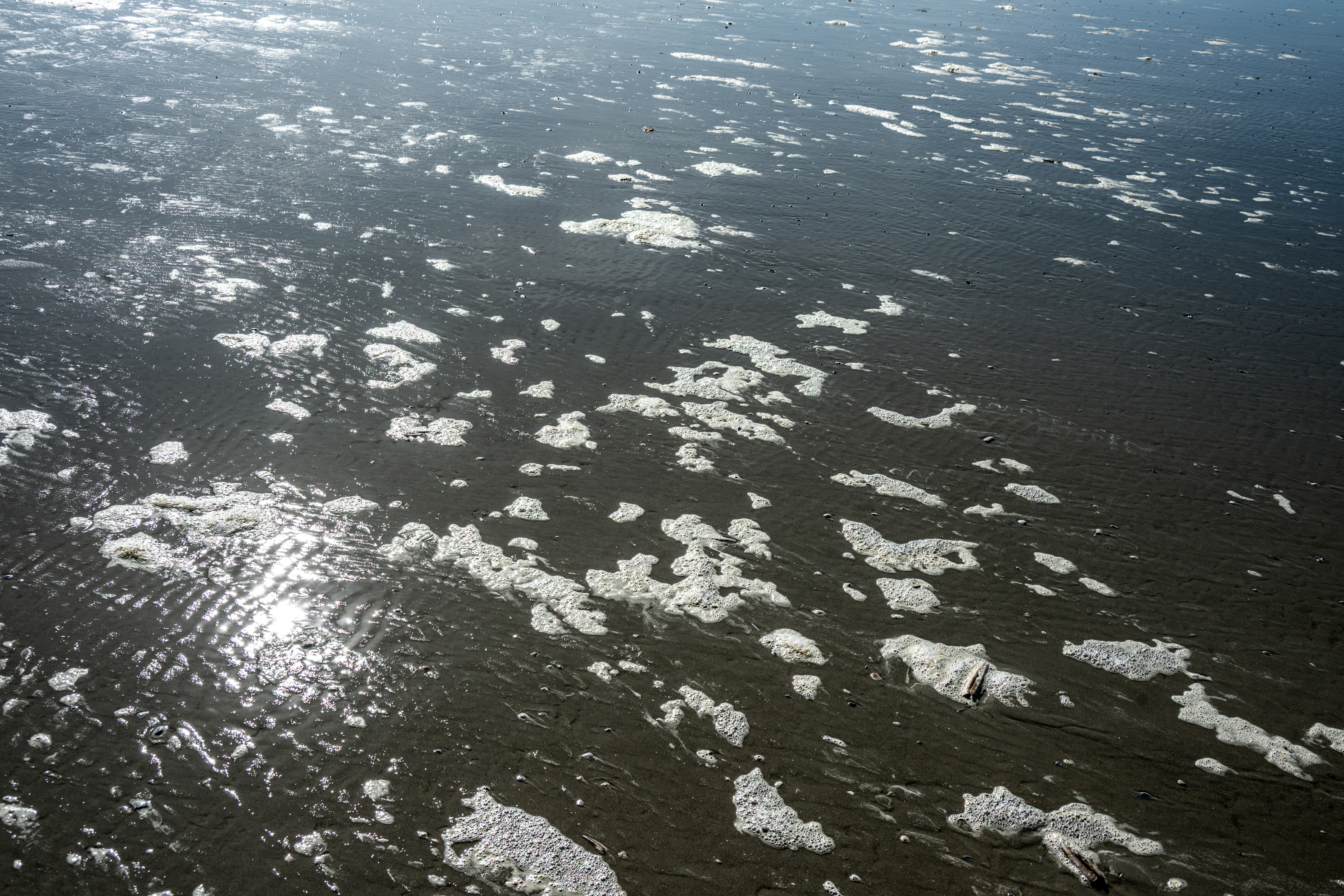 Icy patches glint across a sunlit Arctic sea surface