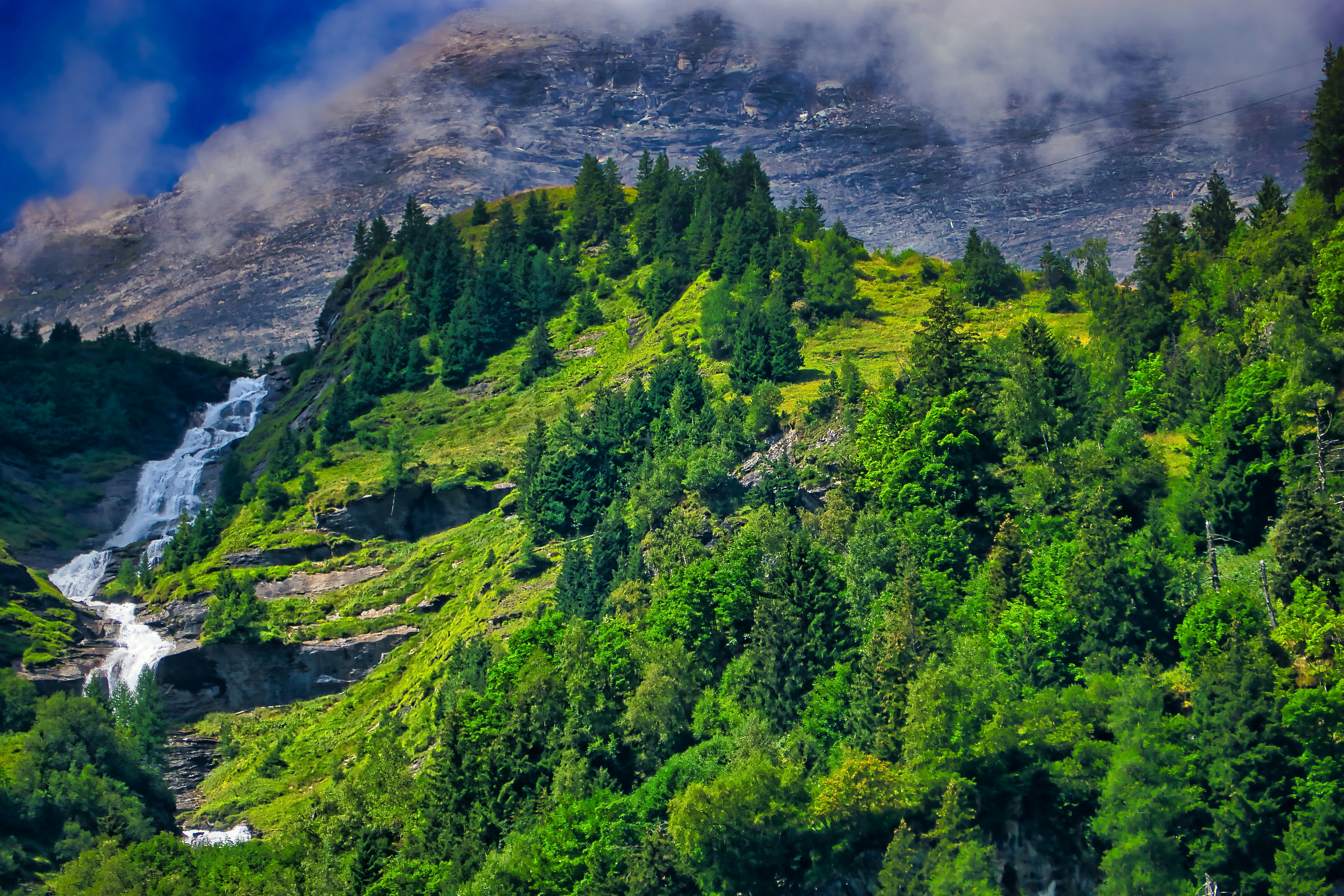 Verdant Cascade: A Mountain Meadow Carved by Water and Light