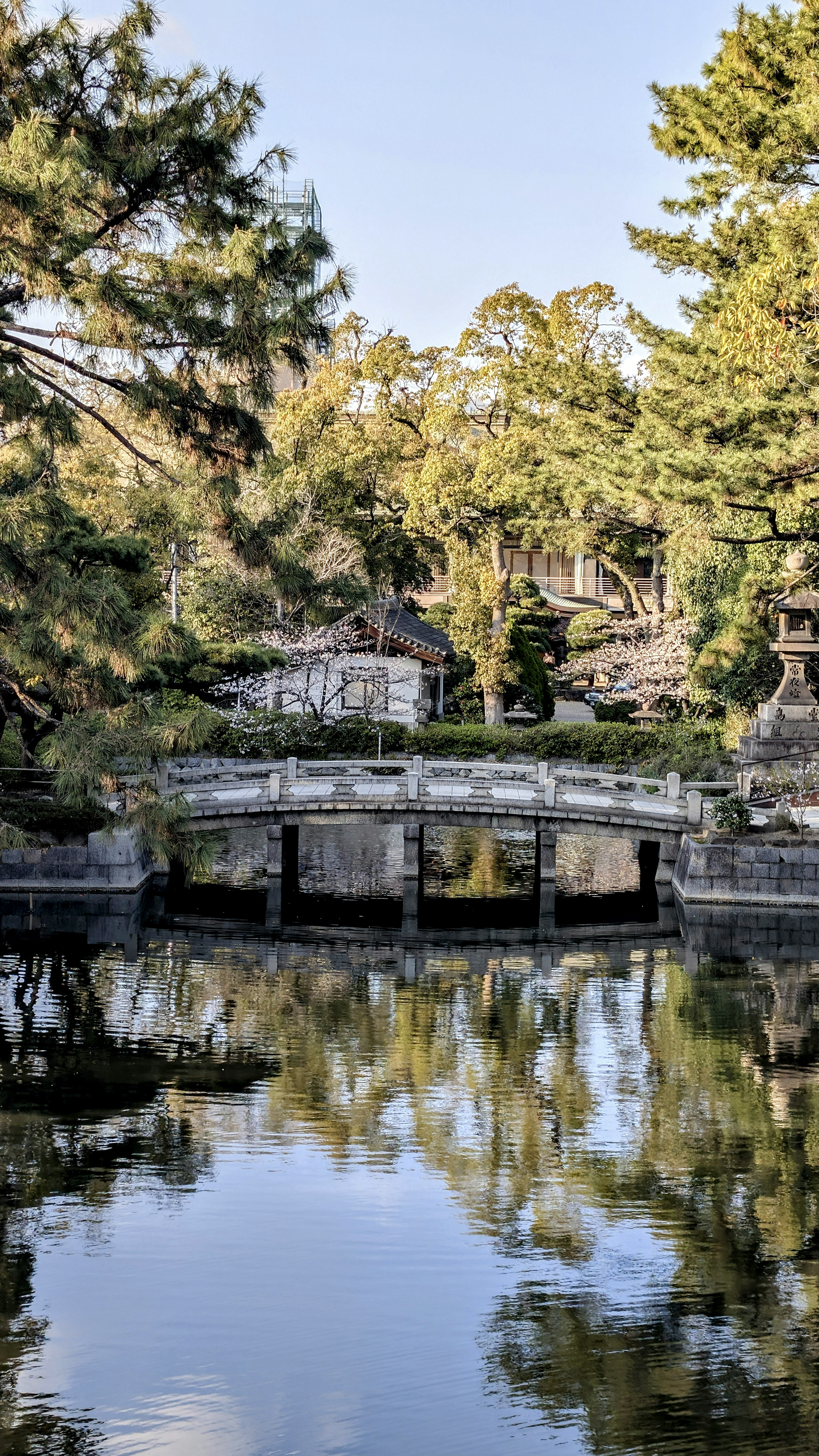 Quiet Garden Bridge: Tranquil Reflections Under Golden Light
