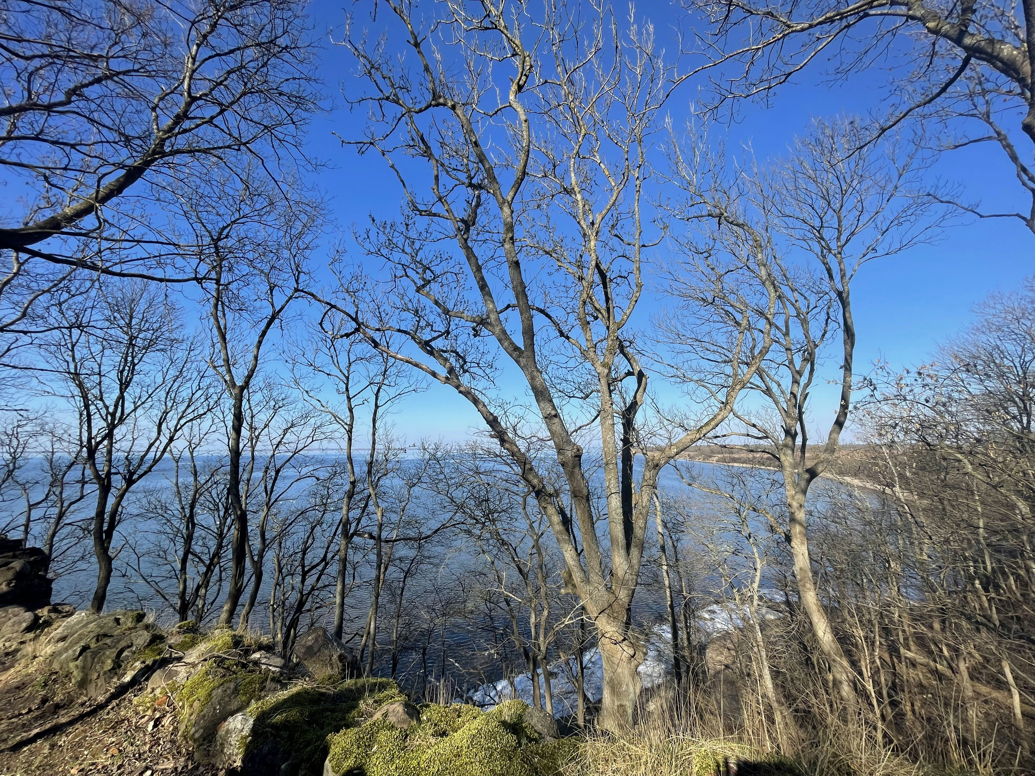 Winter Crest Overlooking a Windswept Lake