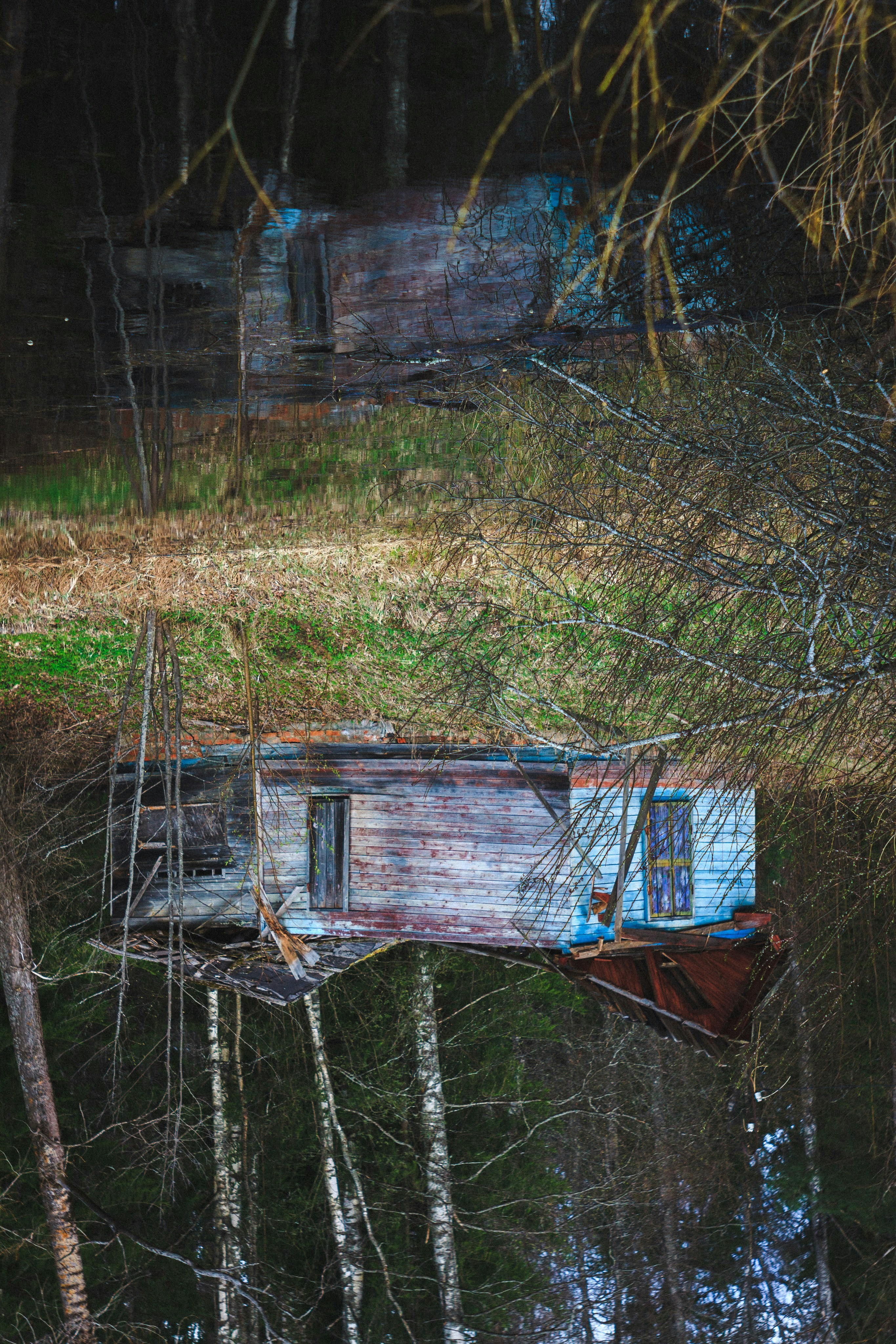 Upside-Down Hull: A Dilapidated Boat Resting Among Bare Branches