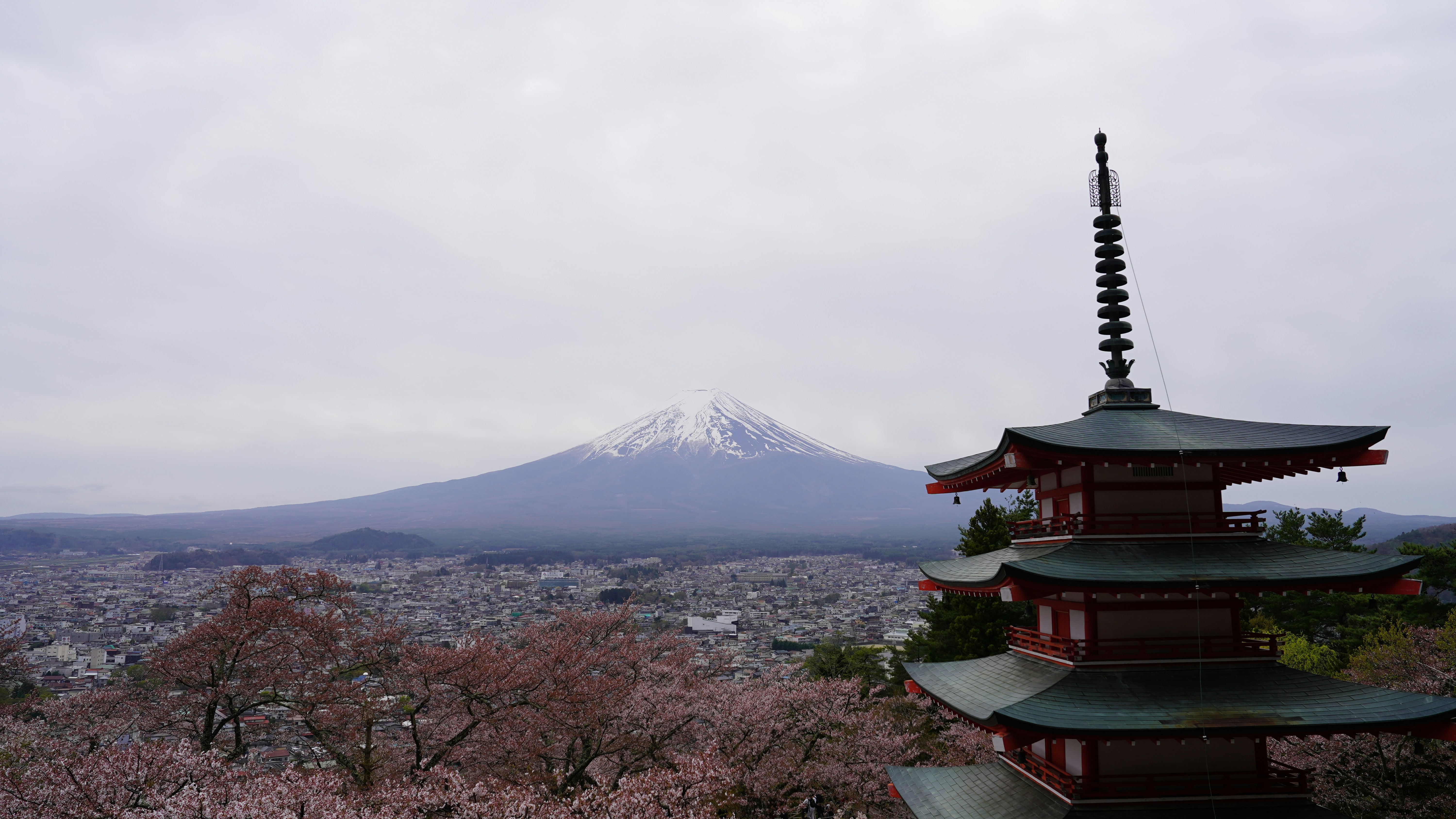 Temple Silhouette Over Sakura Plains with Mount Fuji Backdrop